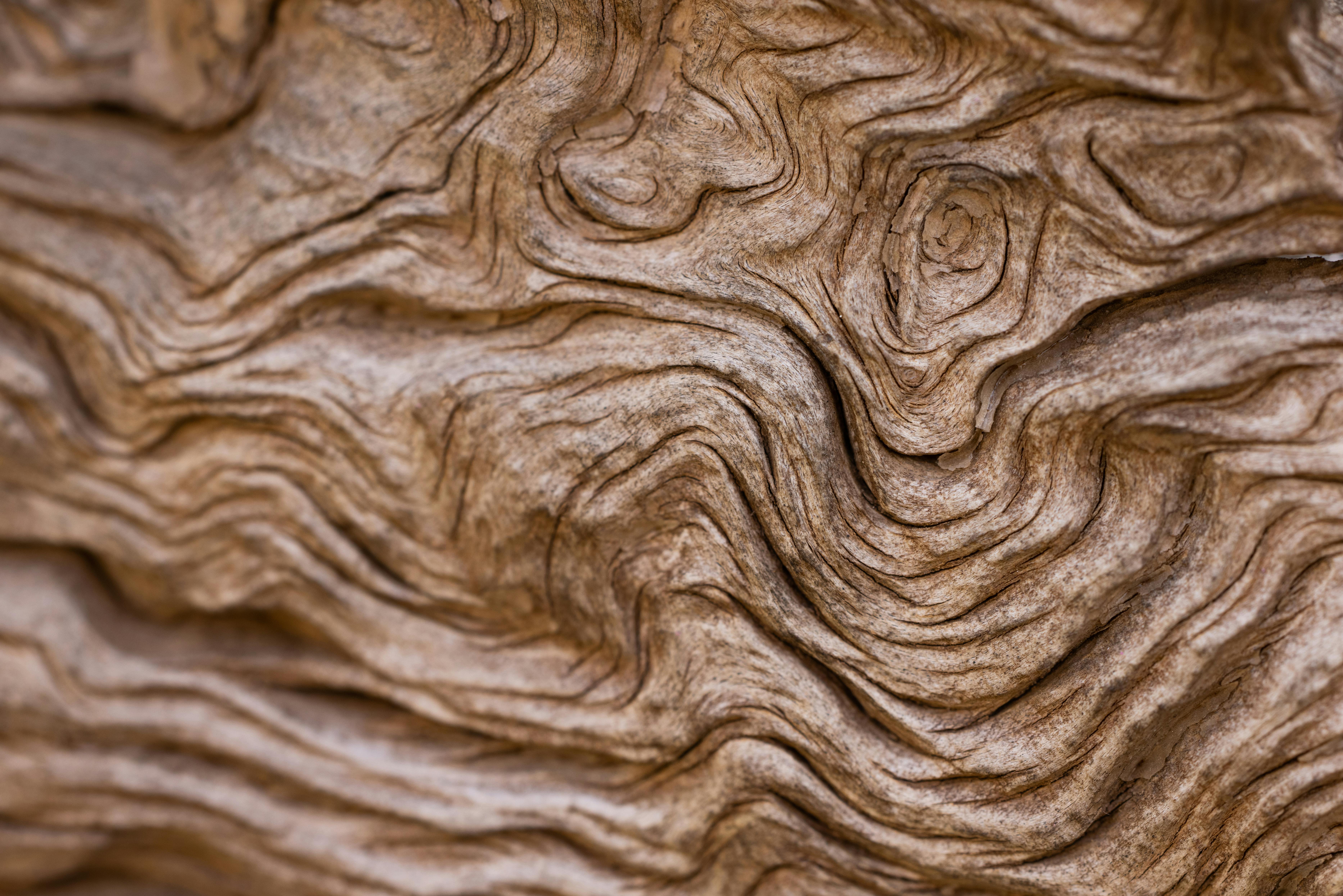 Close up on chopped timber · Free Stock Photo