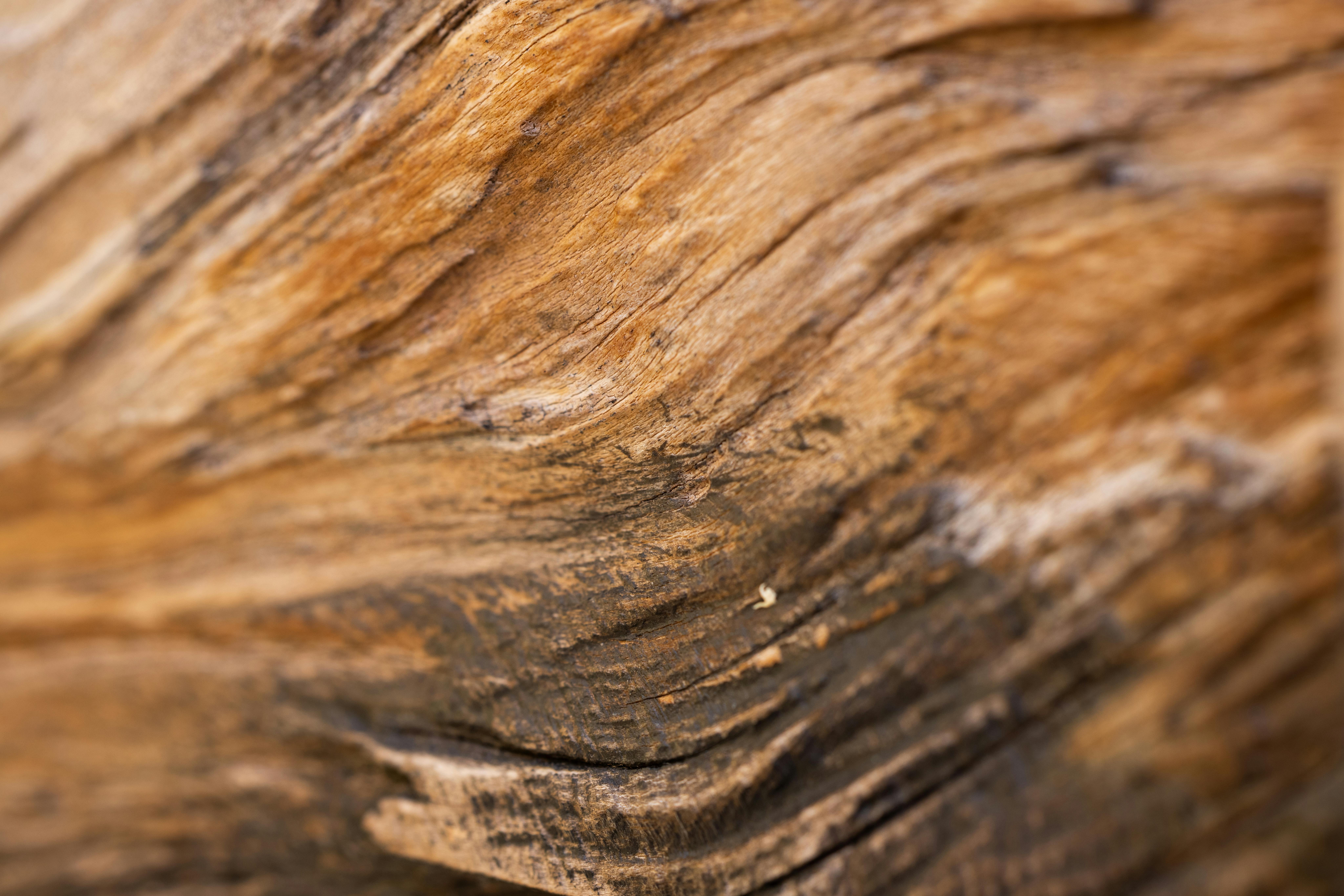 Close-Up Shot of a Wood · Free Stock Photo