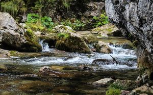 8,000+ Best Brook Photos · 100% Free Download · Pexels Stock Photos