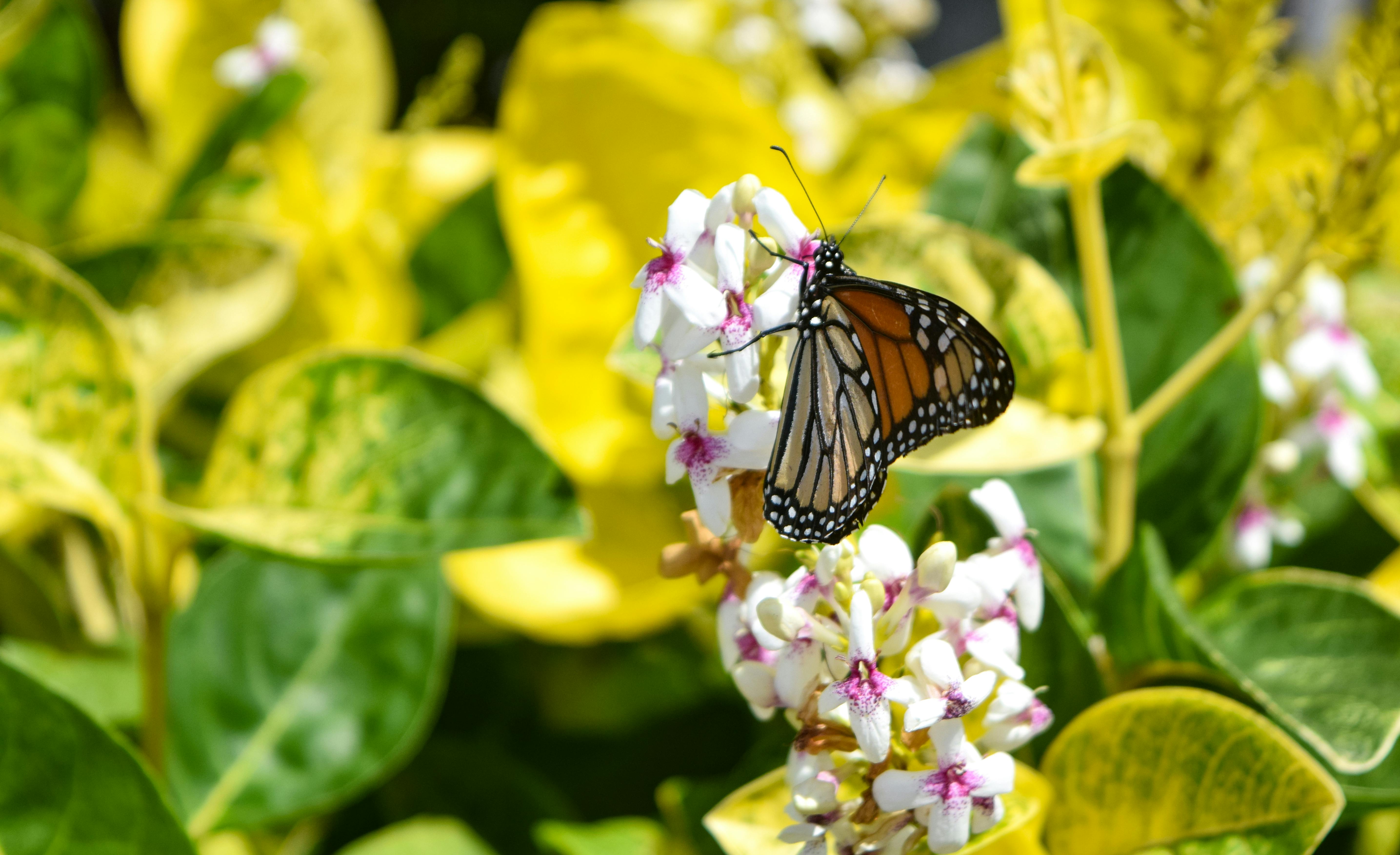 My best photos 21 Photos & Videos Collected by Daniel Absi