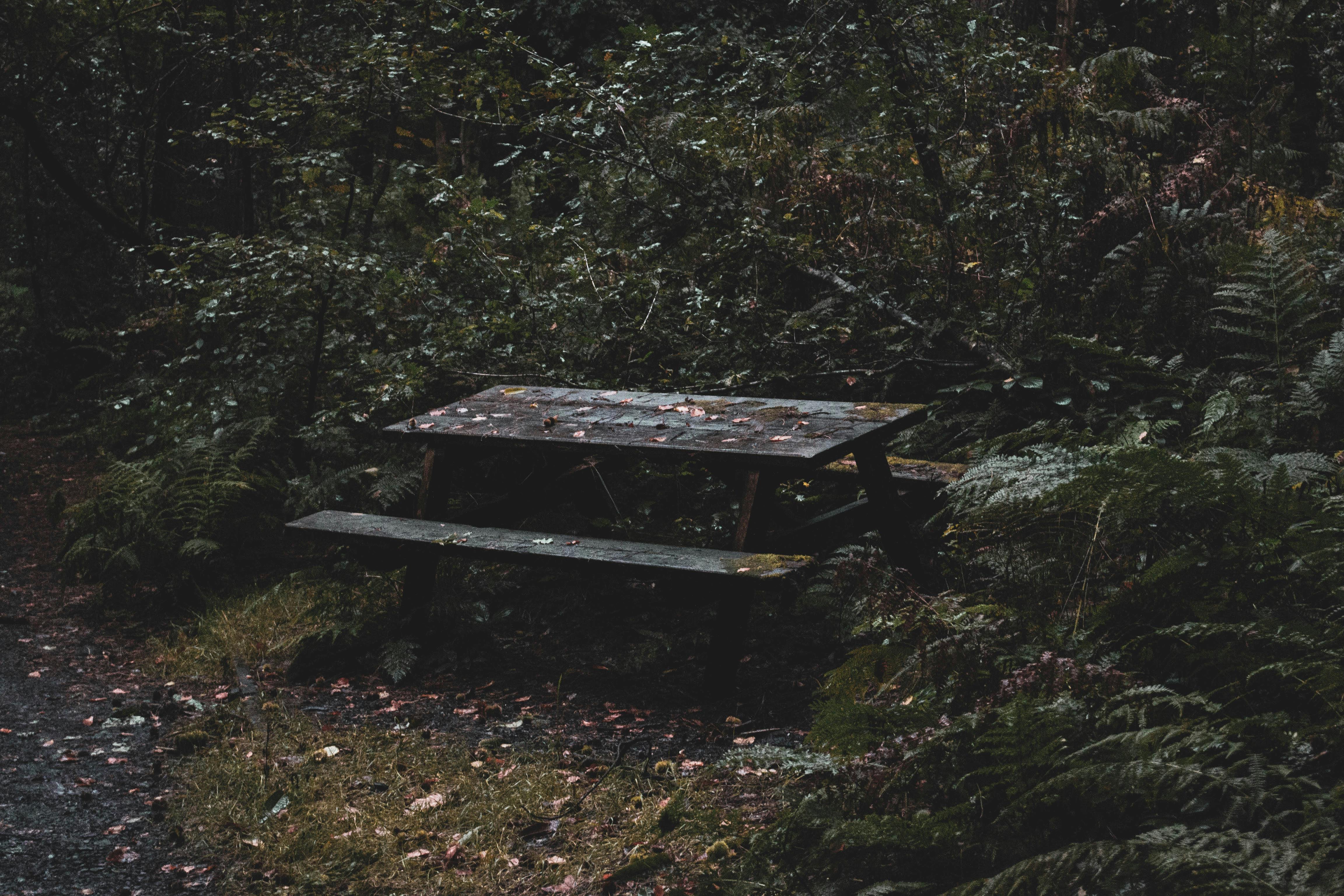 Dirty Wooden Picnic Table on Tall Grass · Free Stock Photo