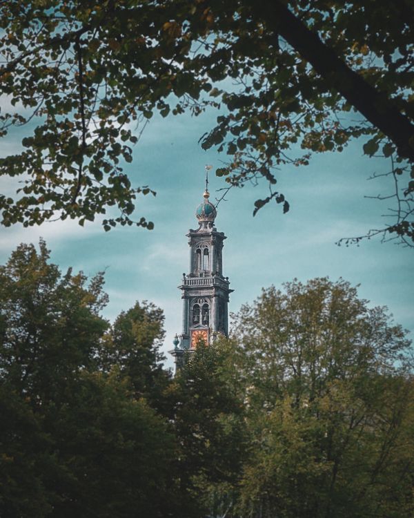 Westerkerk tower framed by lush green foliage against a bright sky
