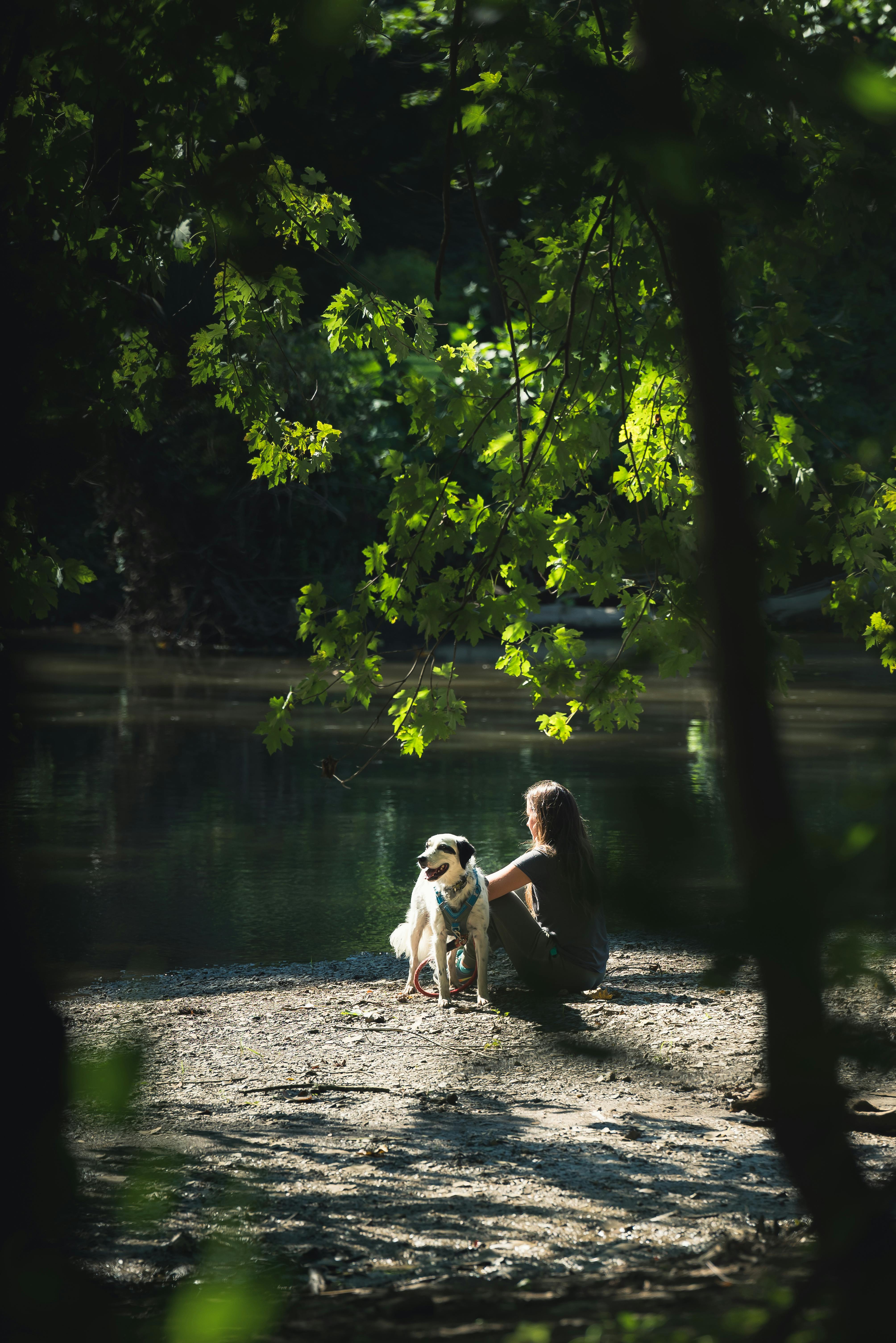 Person Talking to Dog Outdoors · Free Stock Photo