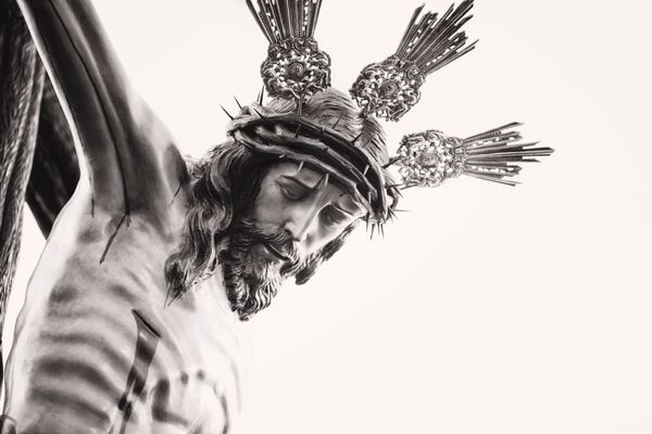 Pardon Photos, Download The BEST Free Pardon Stock Photos & HD Images