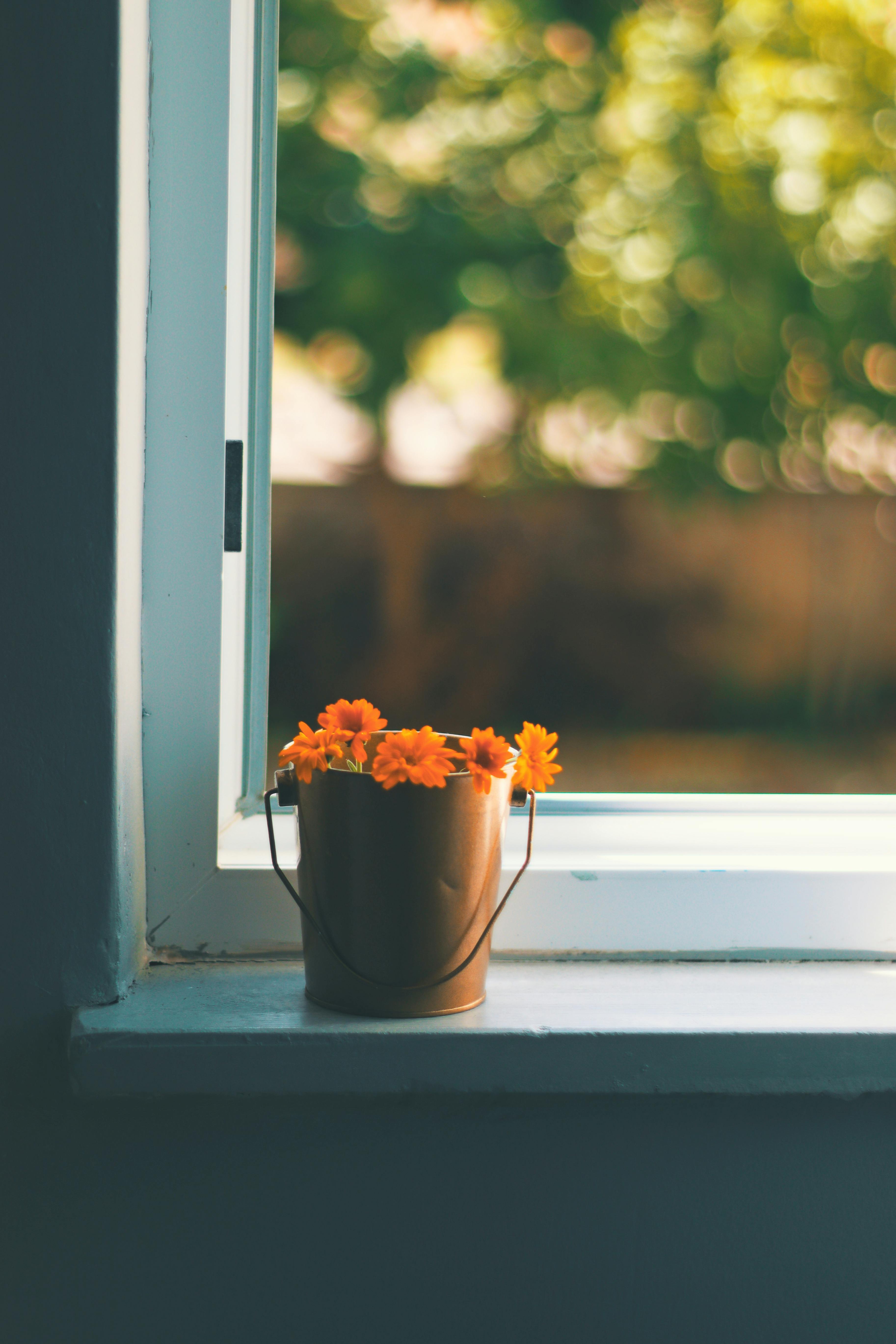 1,000+ Best Bucket Photos · 100% Free Download · Pexels Stock Photos