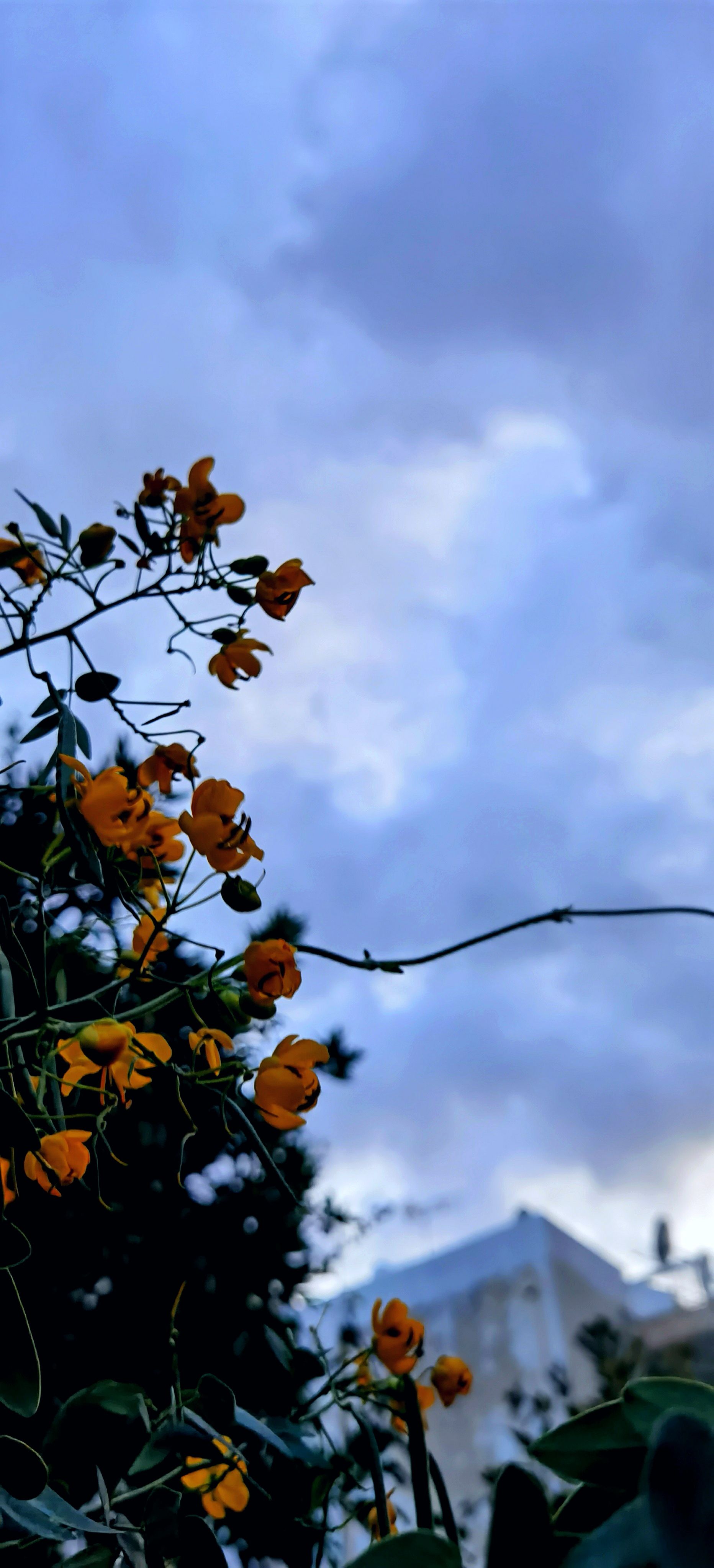 Eleni Marina Kostopoulou - Photography