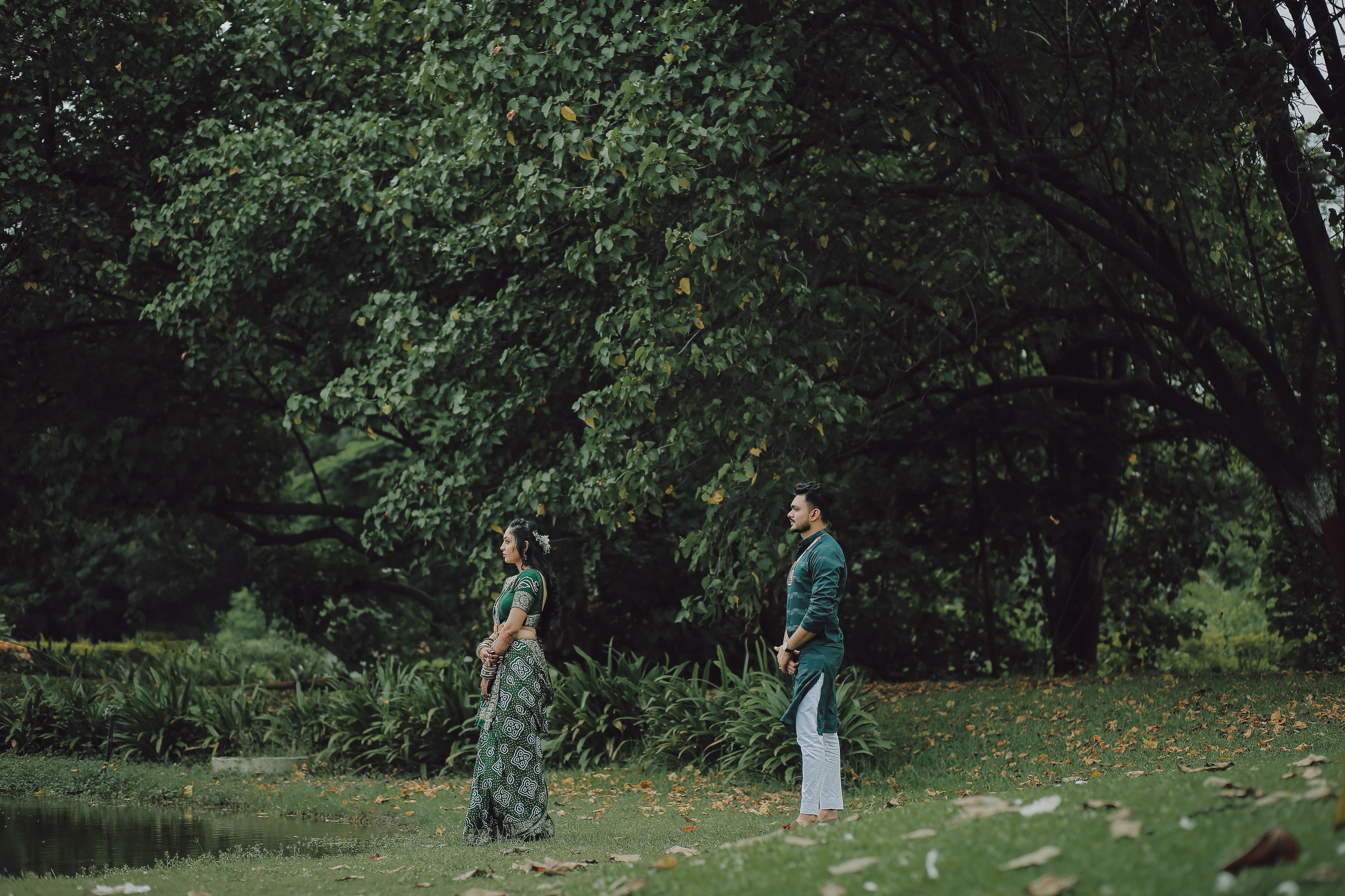 Indian Greenery Photos, Download The BEST Free Indian Greenery Stock ...