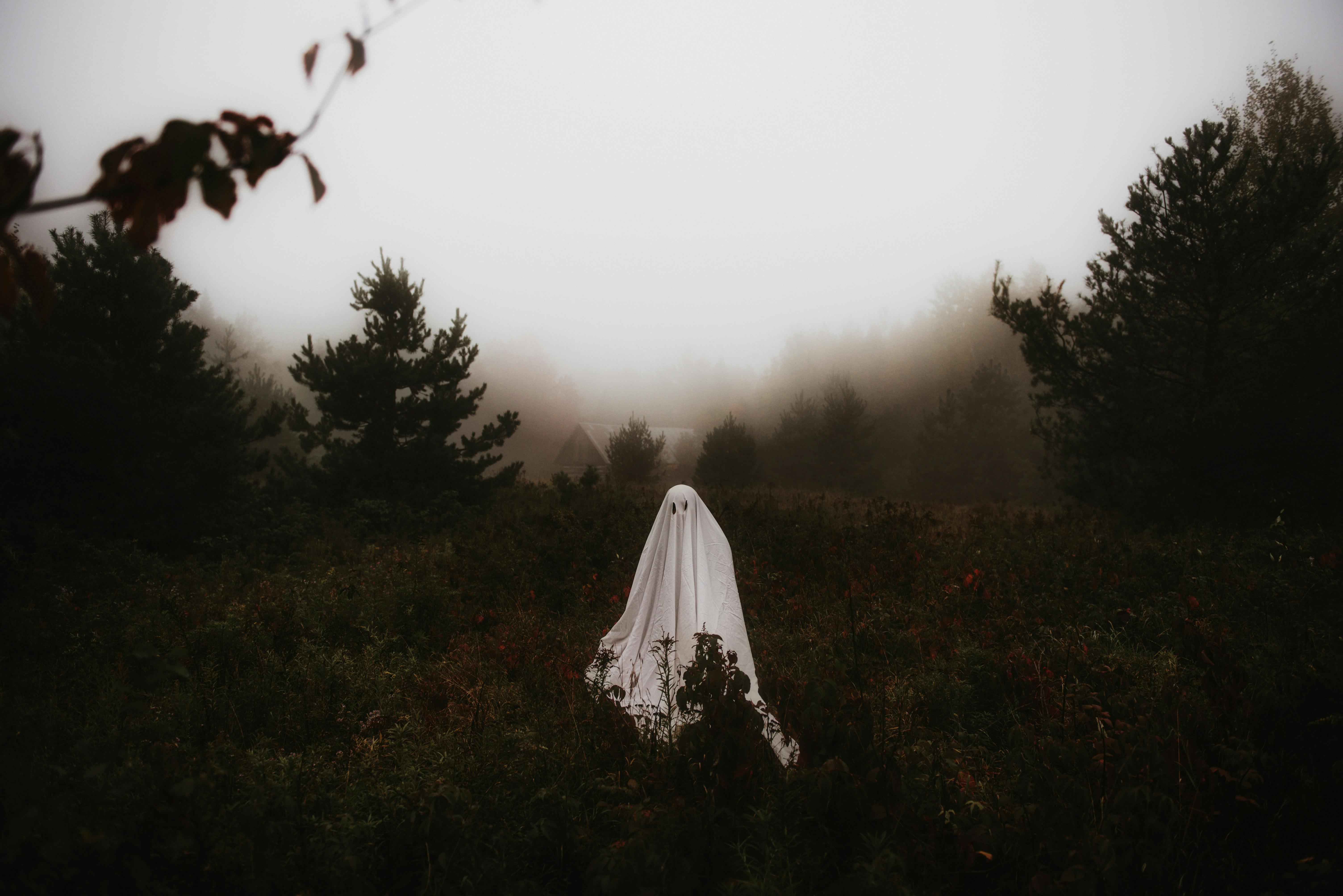 Ghost In Field Photos, Download The BEST Free Ghost In Field Stock ...