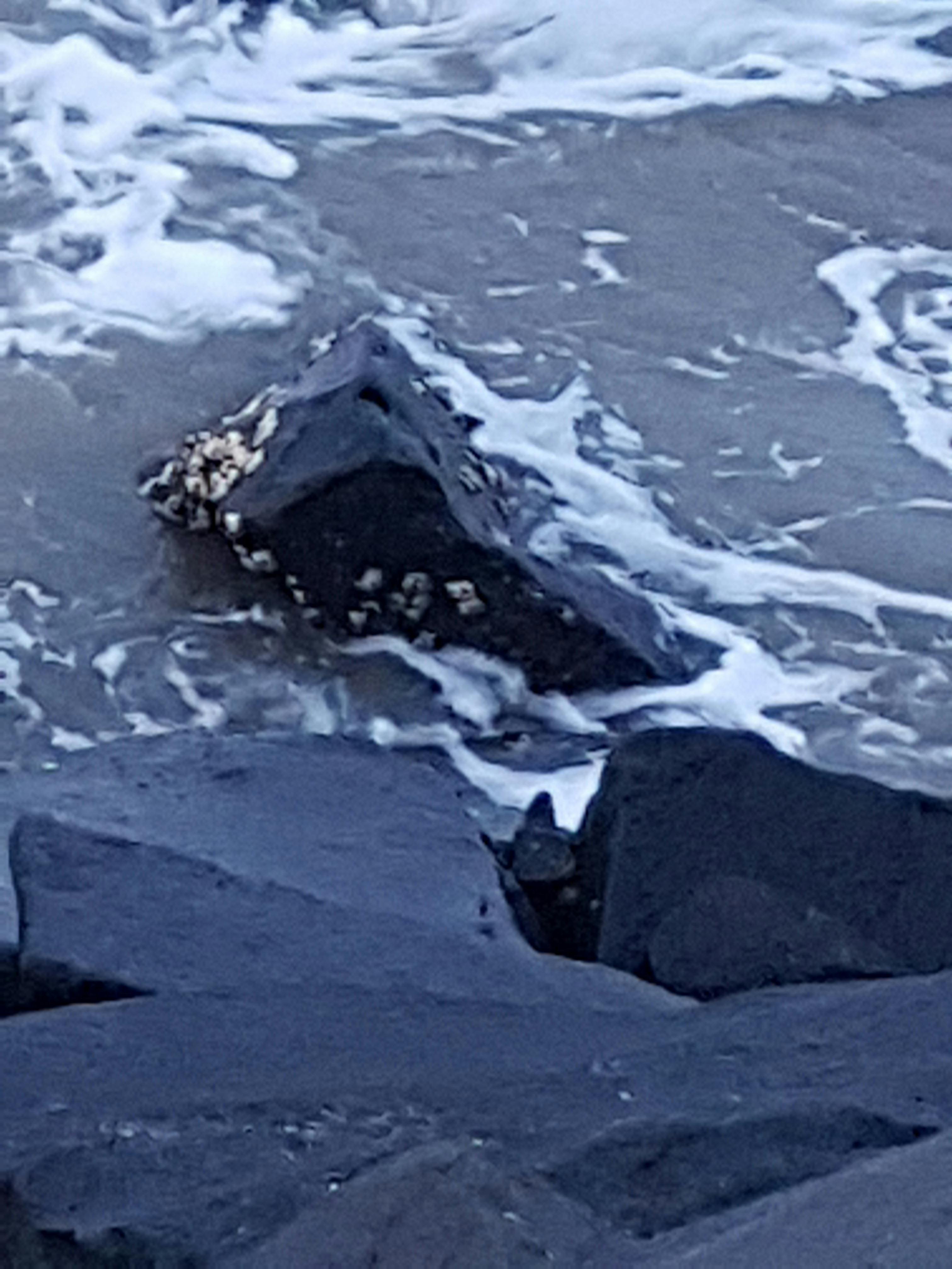 Free stock photo of restaurant