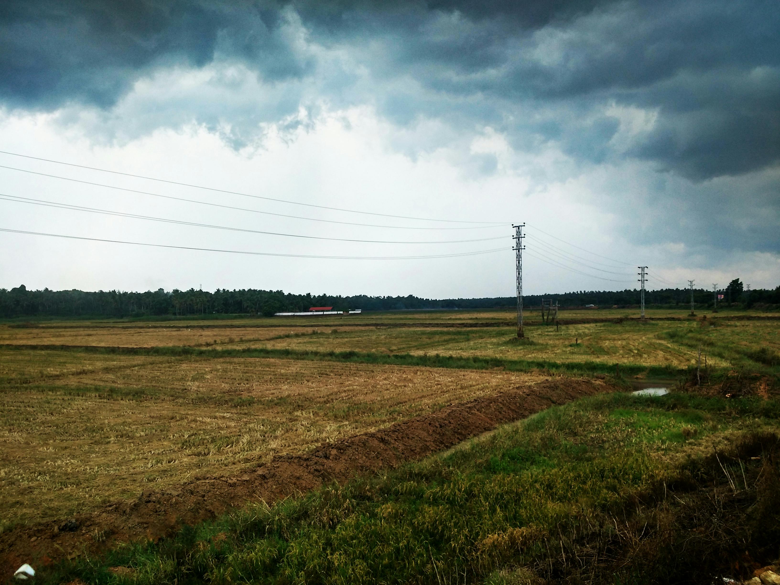 Free stock photo of dark, fields, india