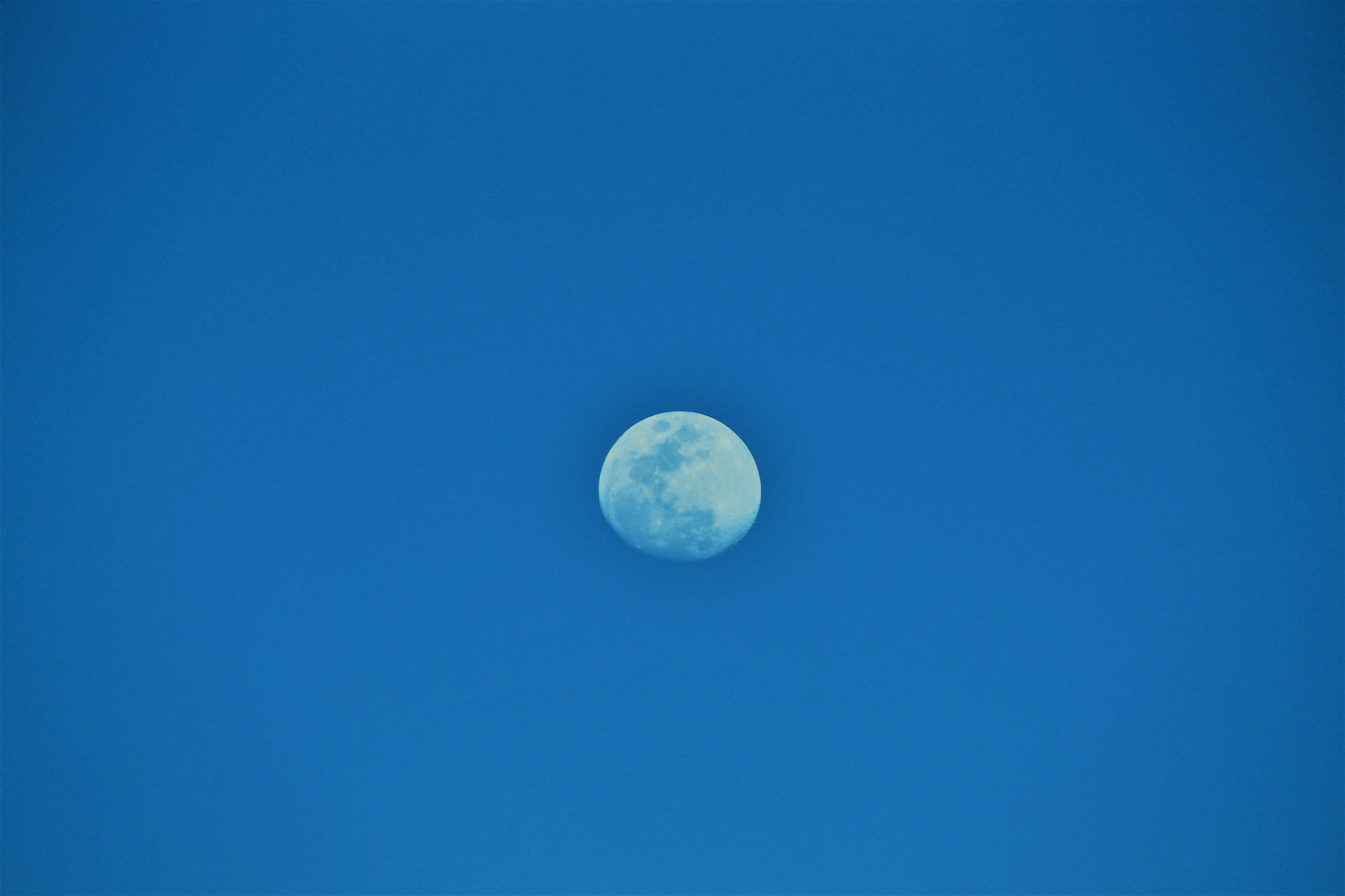 Sky blue moon Images - Search Images on Everypixel
