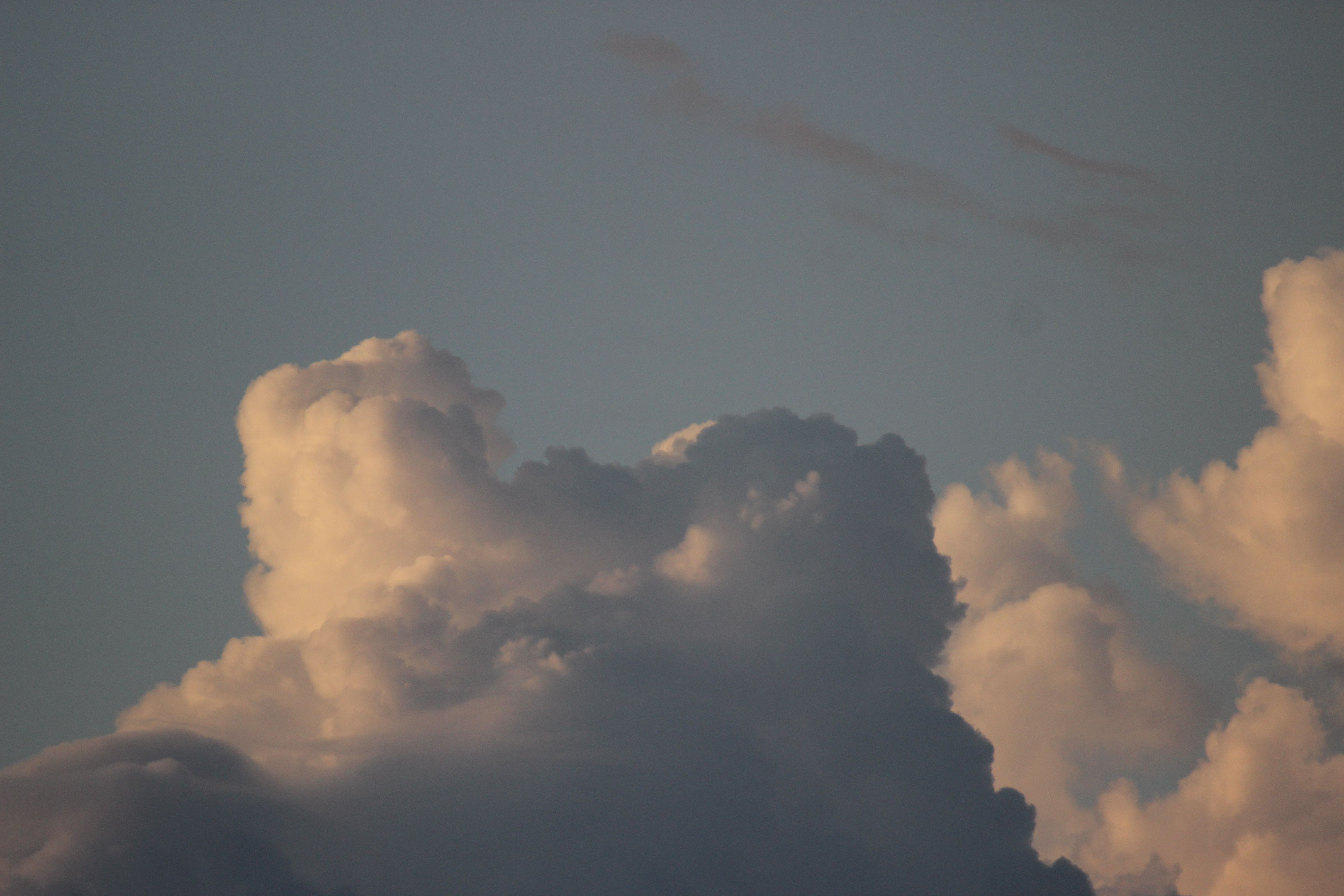 Cumulus Clouds at Sunset · Free Stock Photo