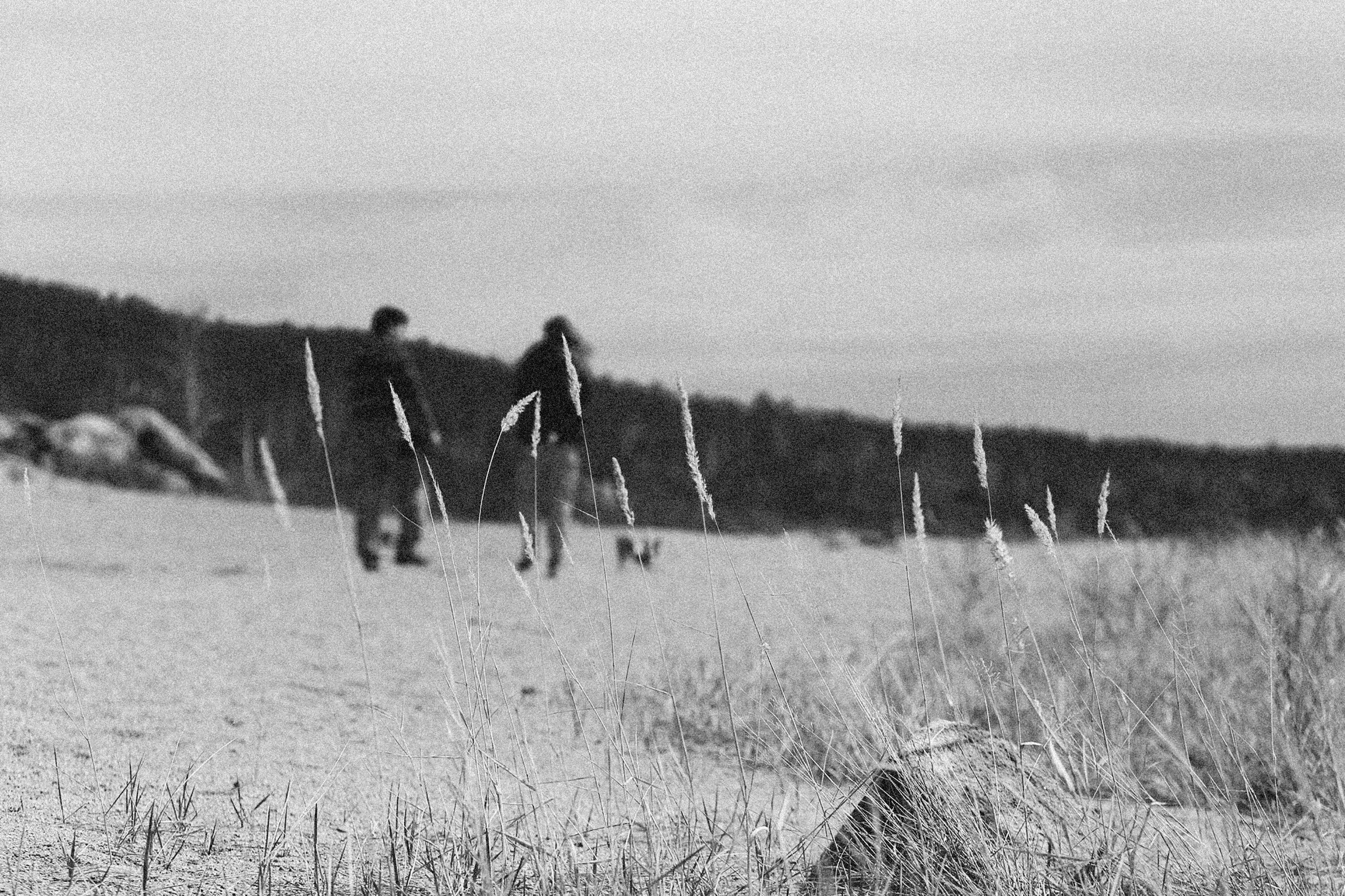 Sentimental Photos, Download The BEST Free Sentimental Stock Photos ...