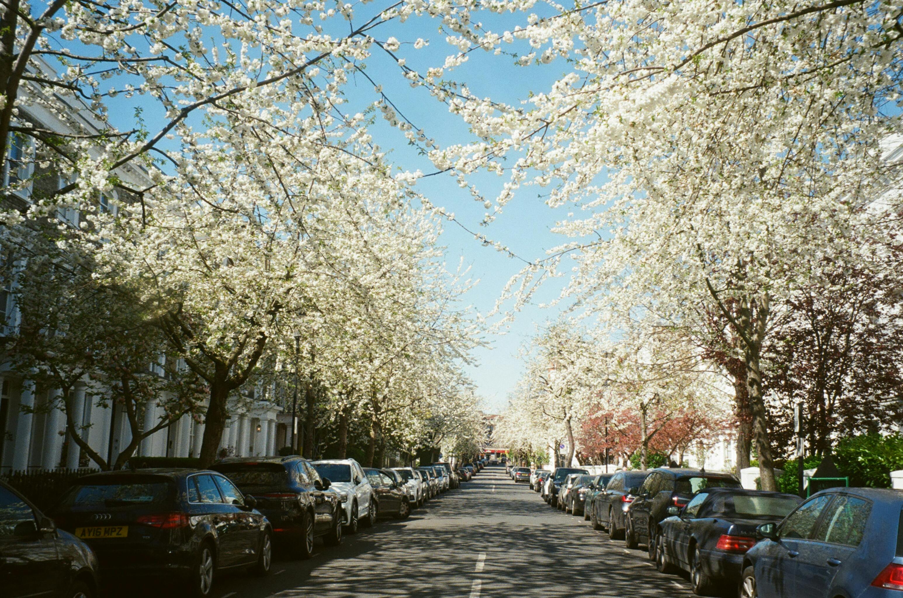 Radiador Spring Cars Photos, Download The BEST Free Radiador Spring ...