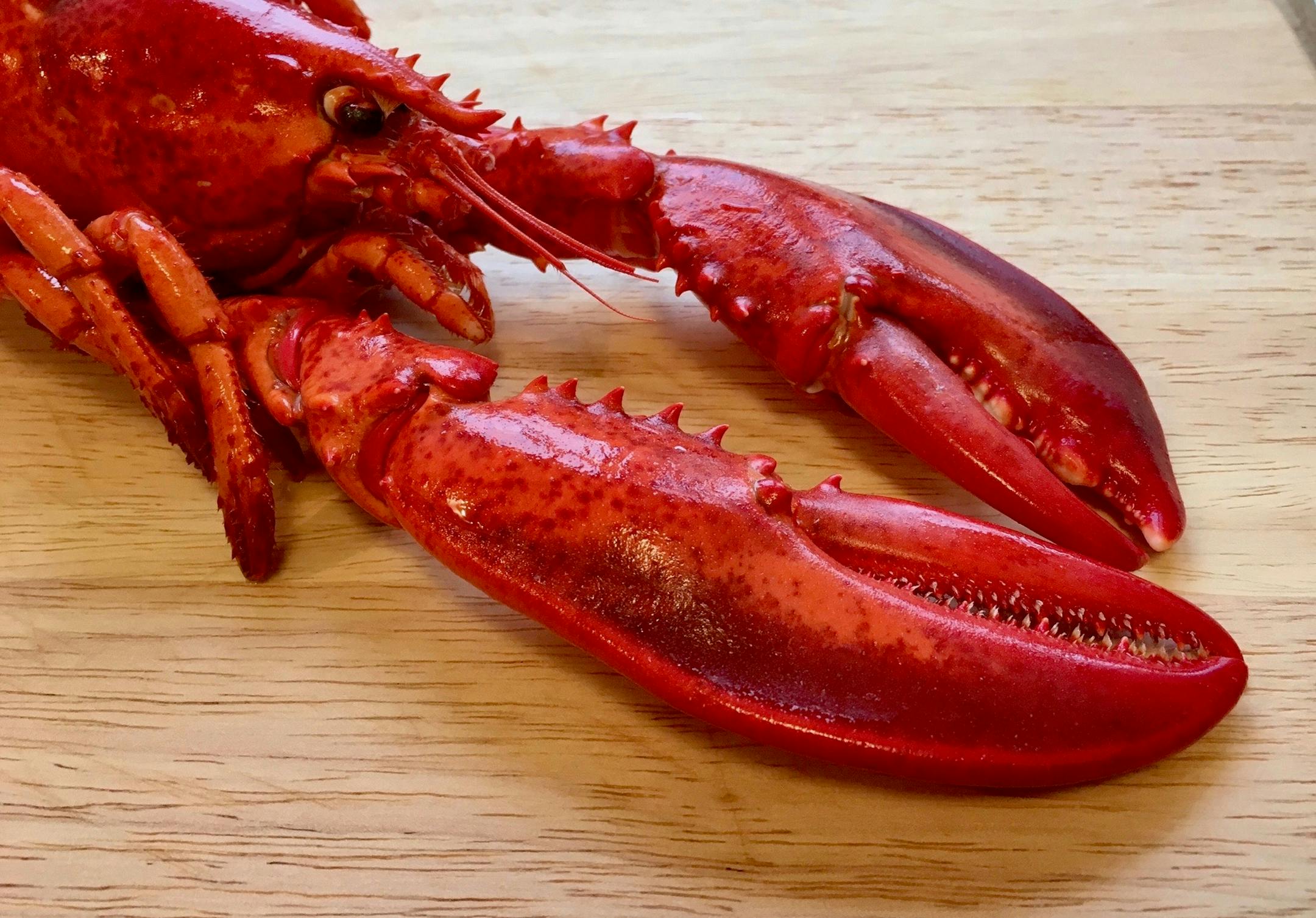 Food 39 Photos & Videos Collected by iSAW Company