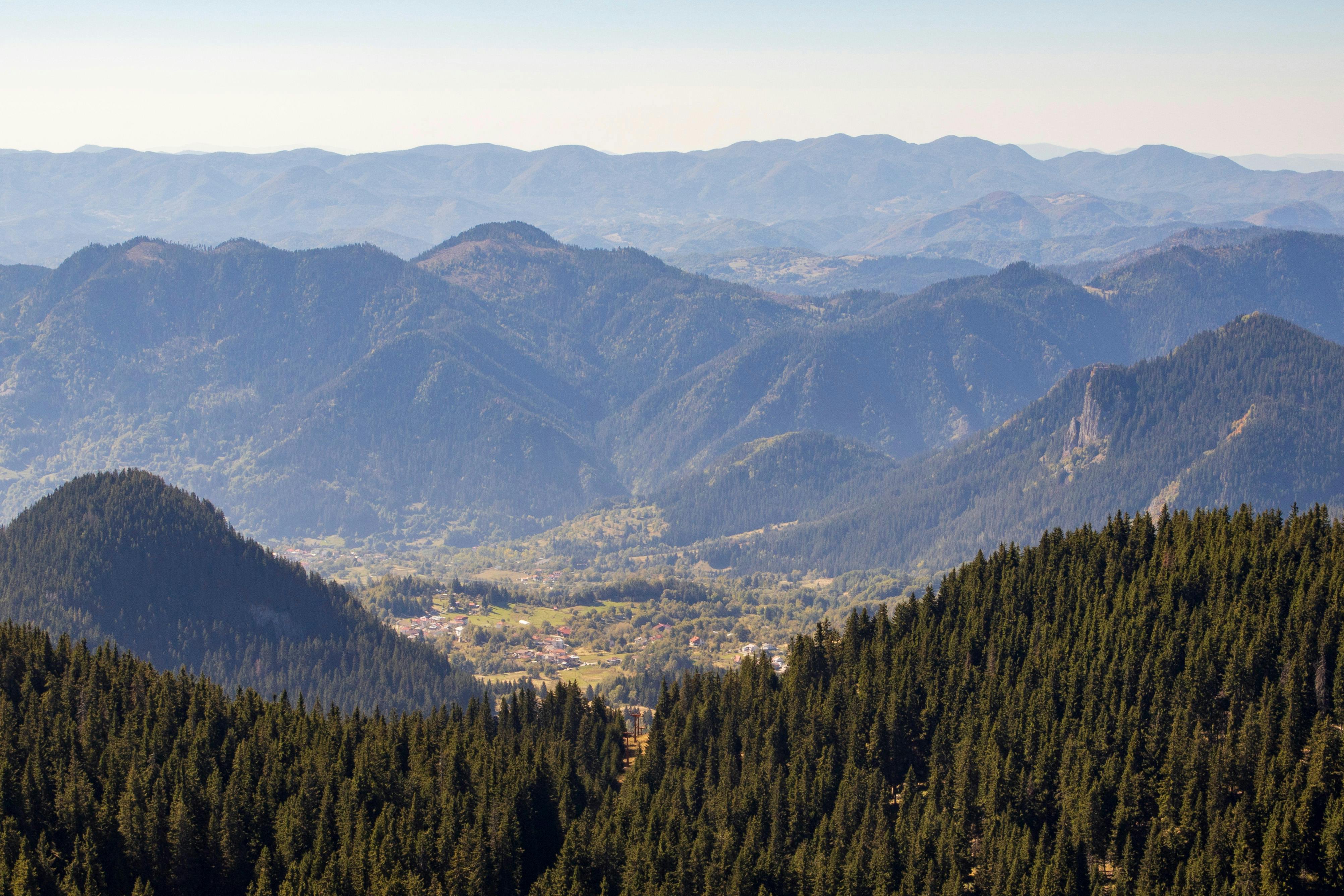 Green Pine Trees on Mountains · Free Stock Photo