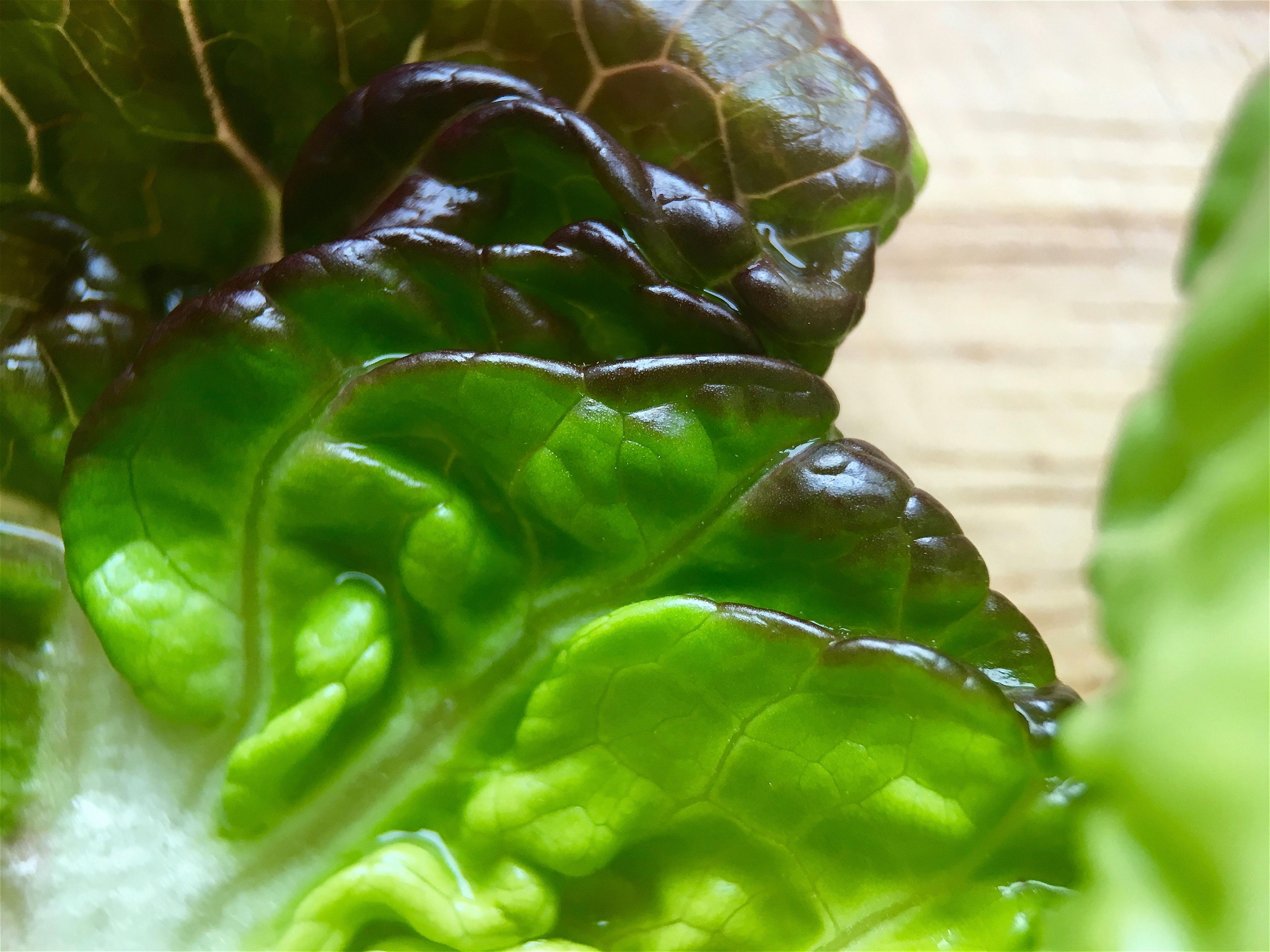 Food 39 Photos & Videos Collected by iSAW Company