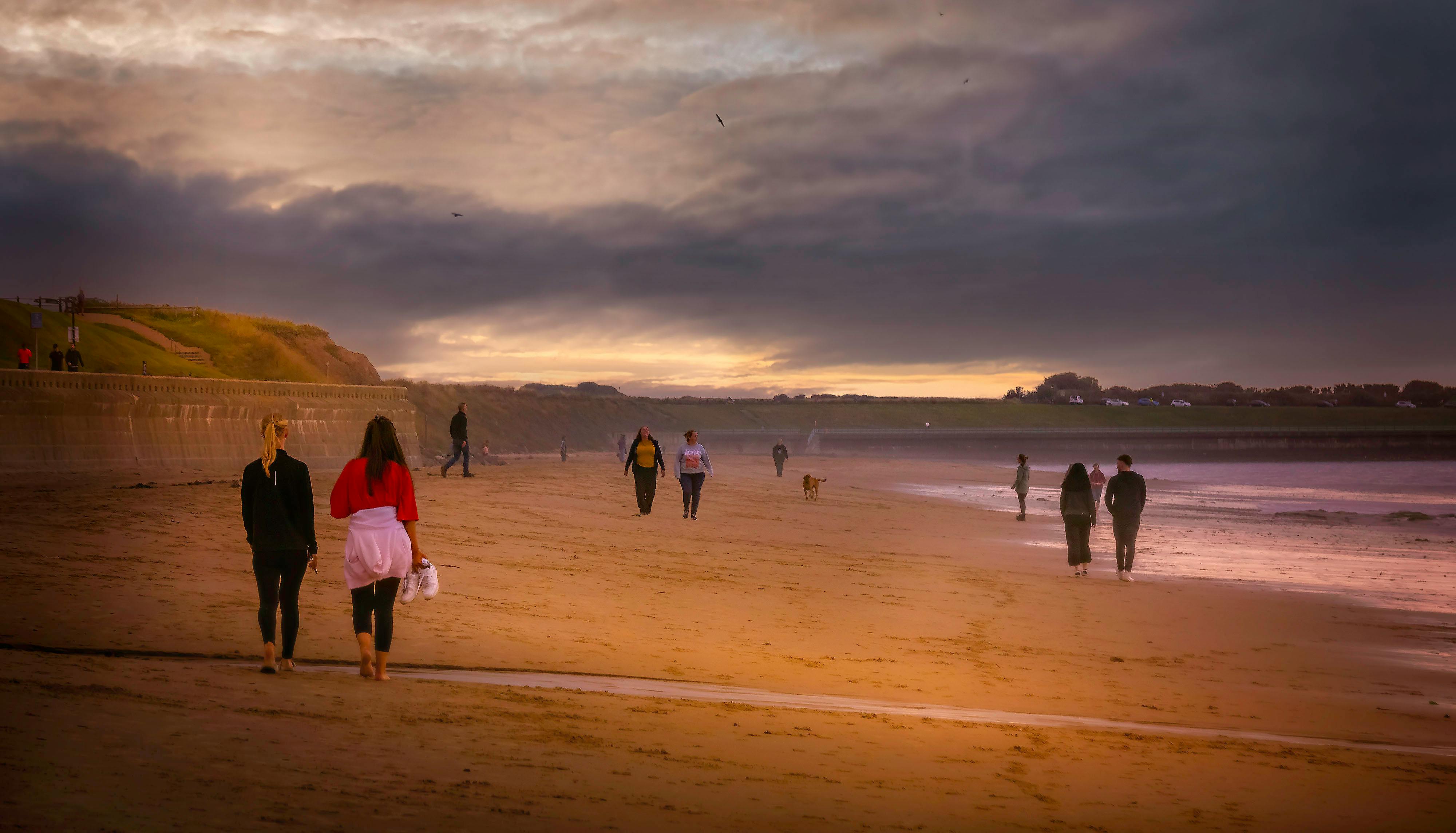 People Walking on Beach Under the Cloudy Sky · Free Stock Photo