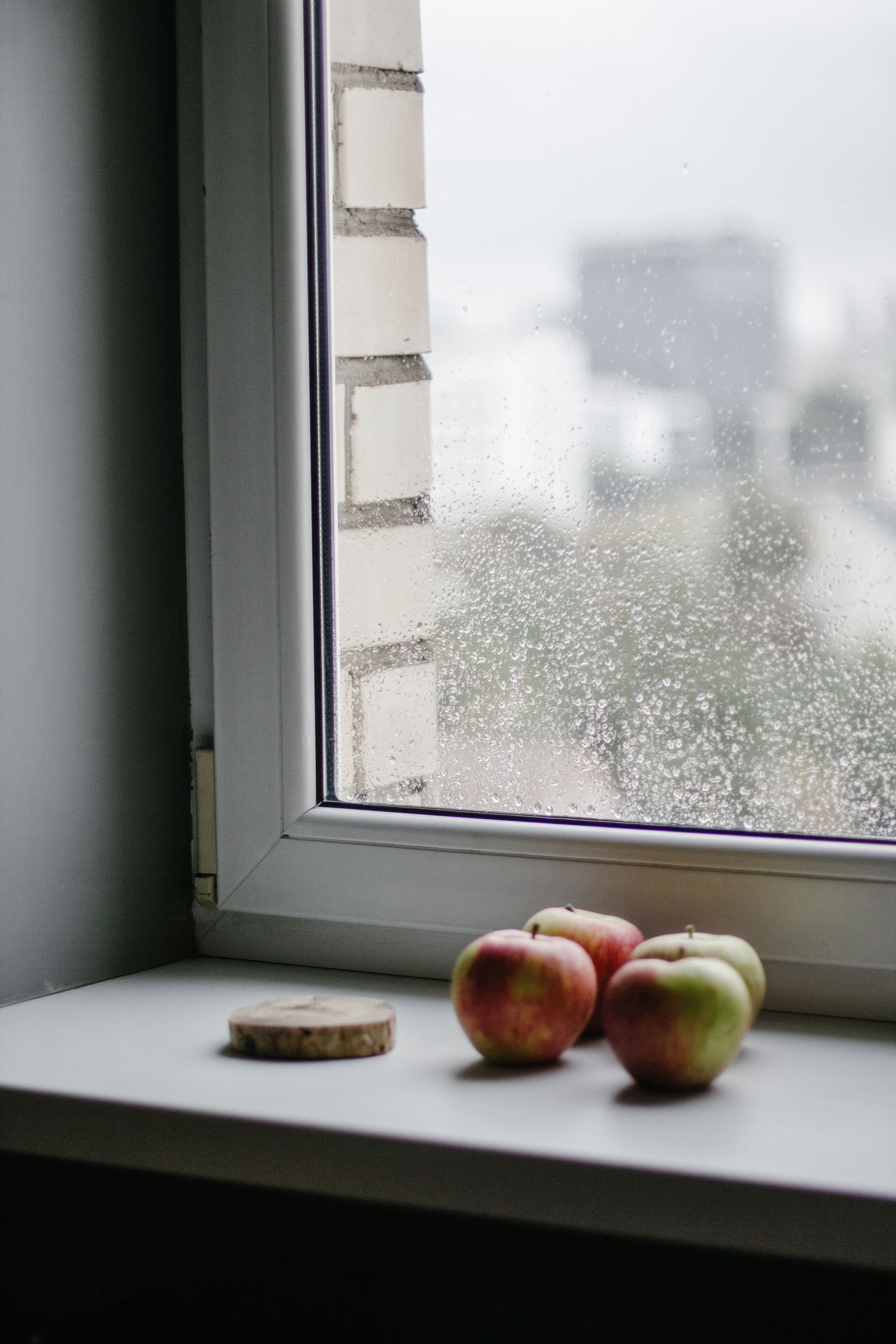 Apples On The Window Photos, Download The BEST Free Apples On The ...