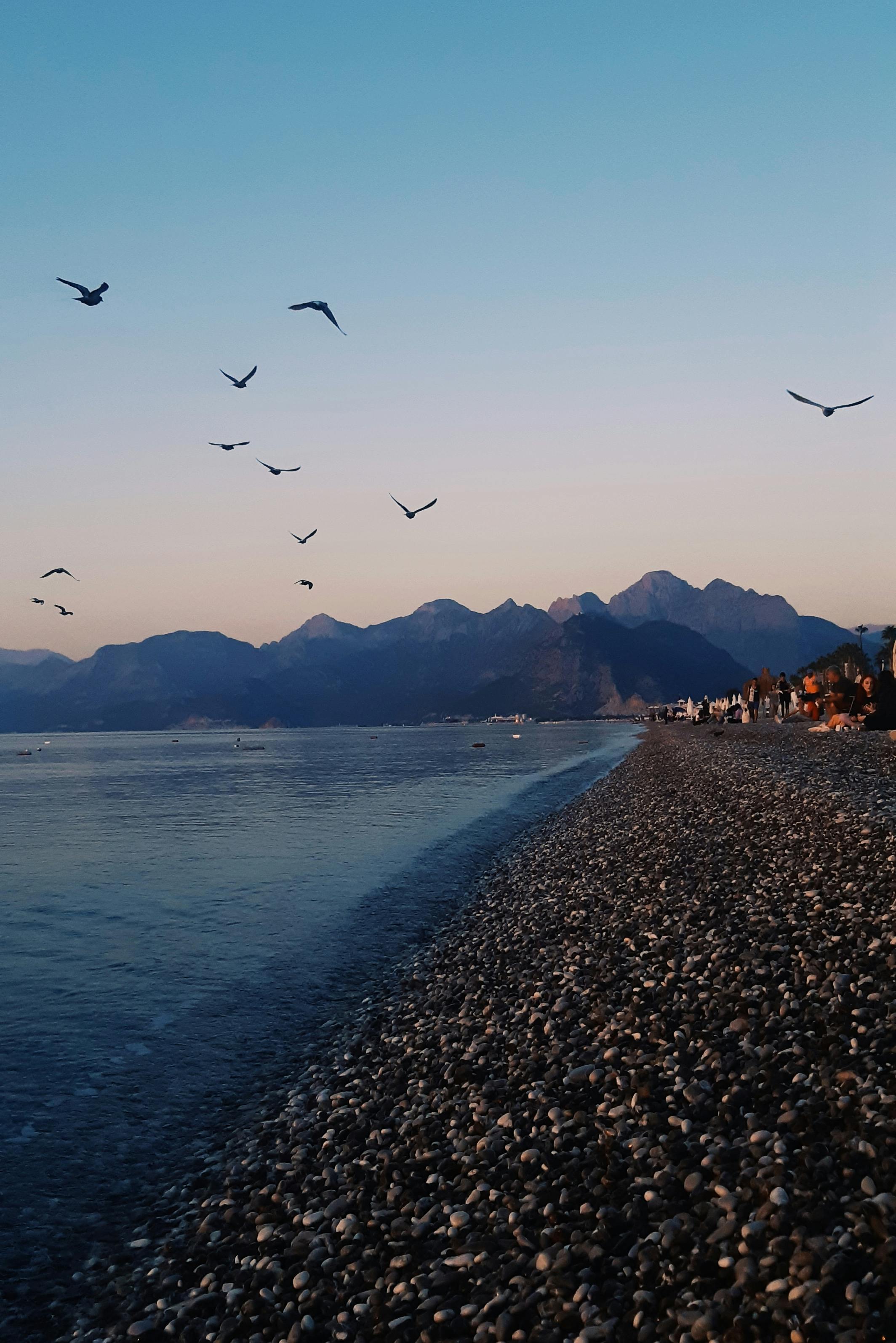 Beautiful Pebbles Photos, Download The BEST Free Beautiful Pebbles ...