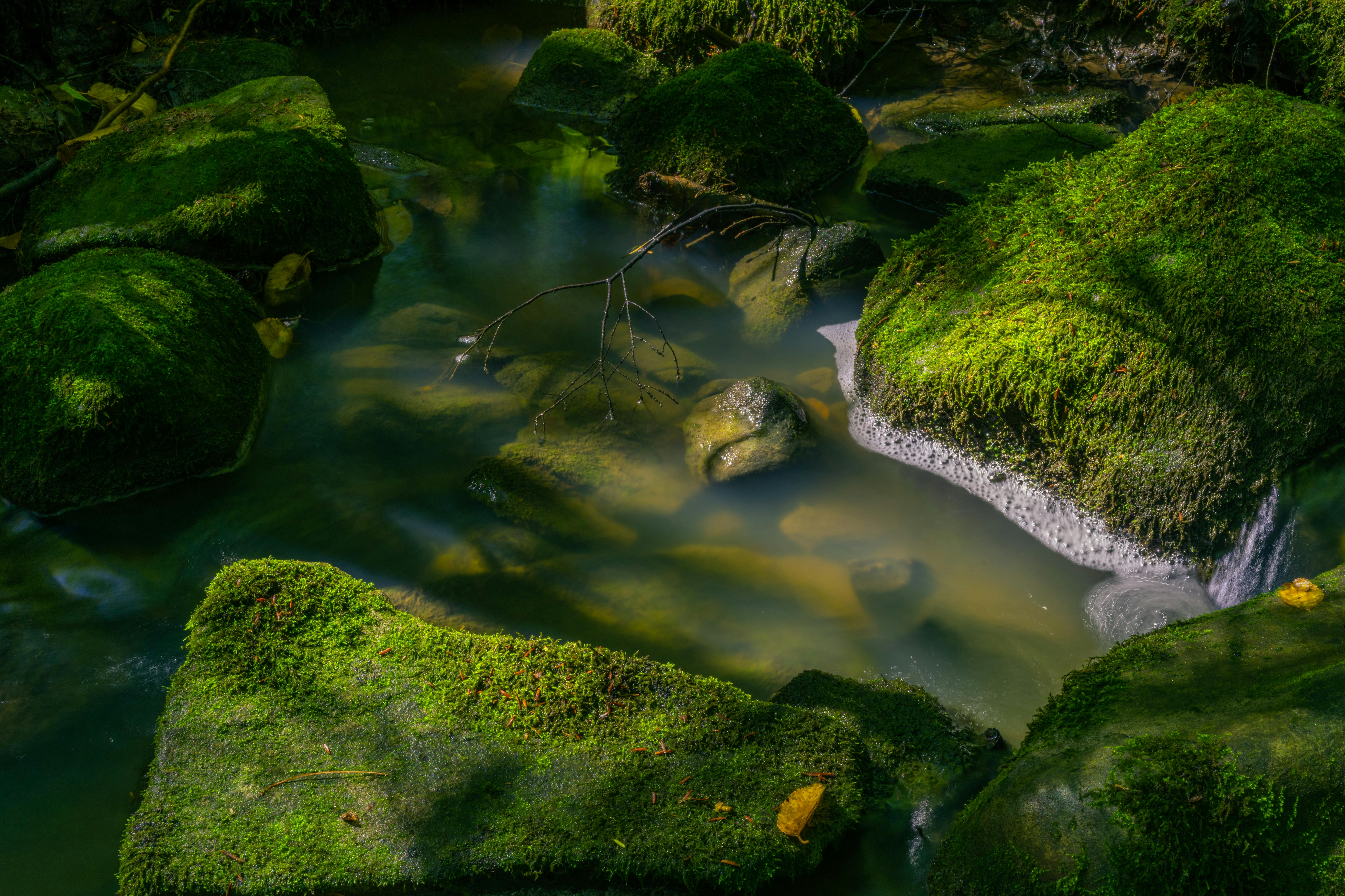 Green Mossy Rocks on the River · Free Stock Photo