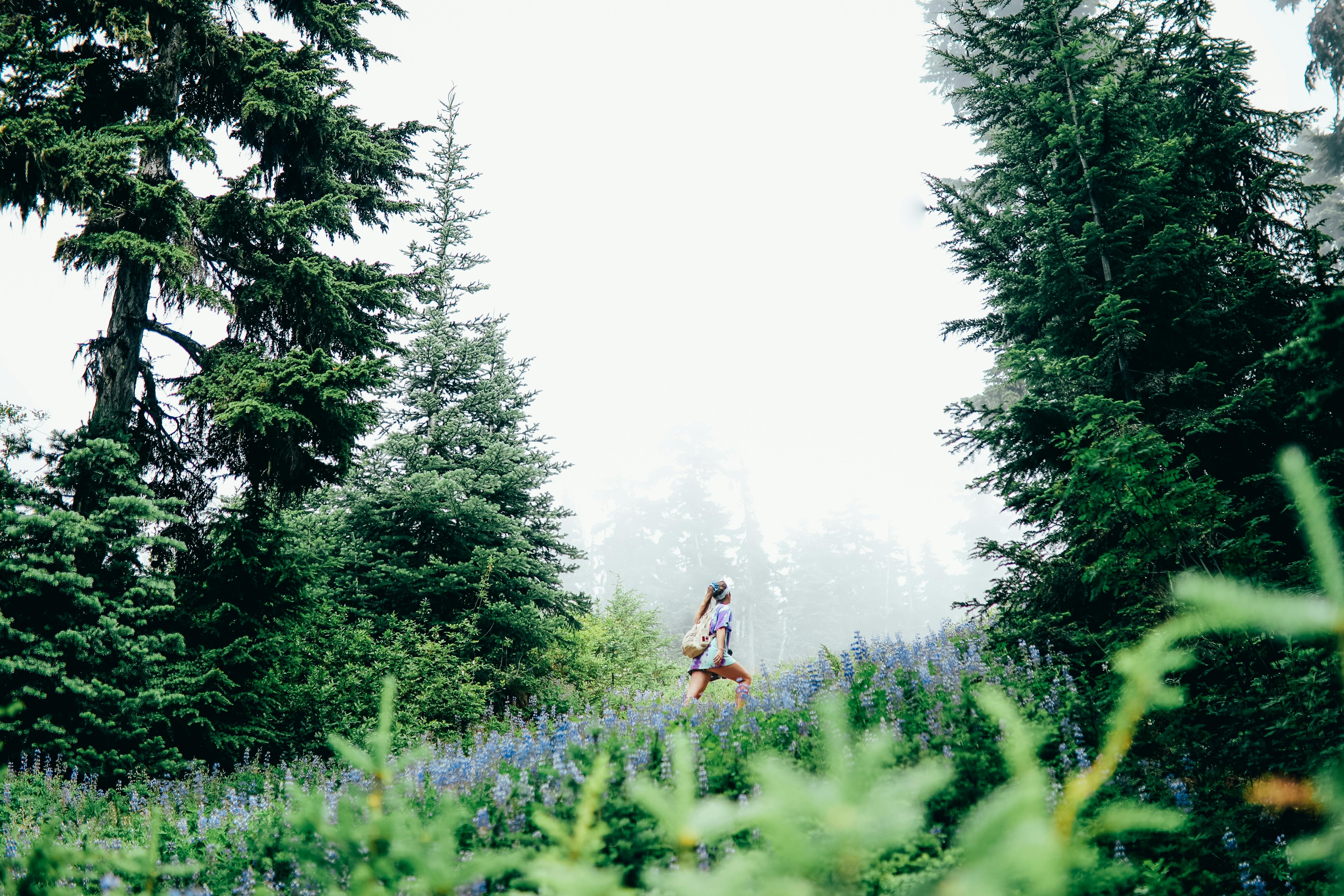 Adventure is Out There 🗺️ · Pexels