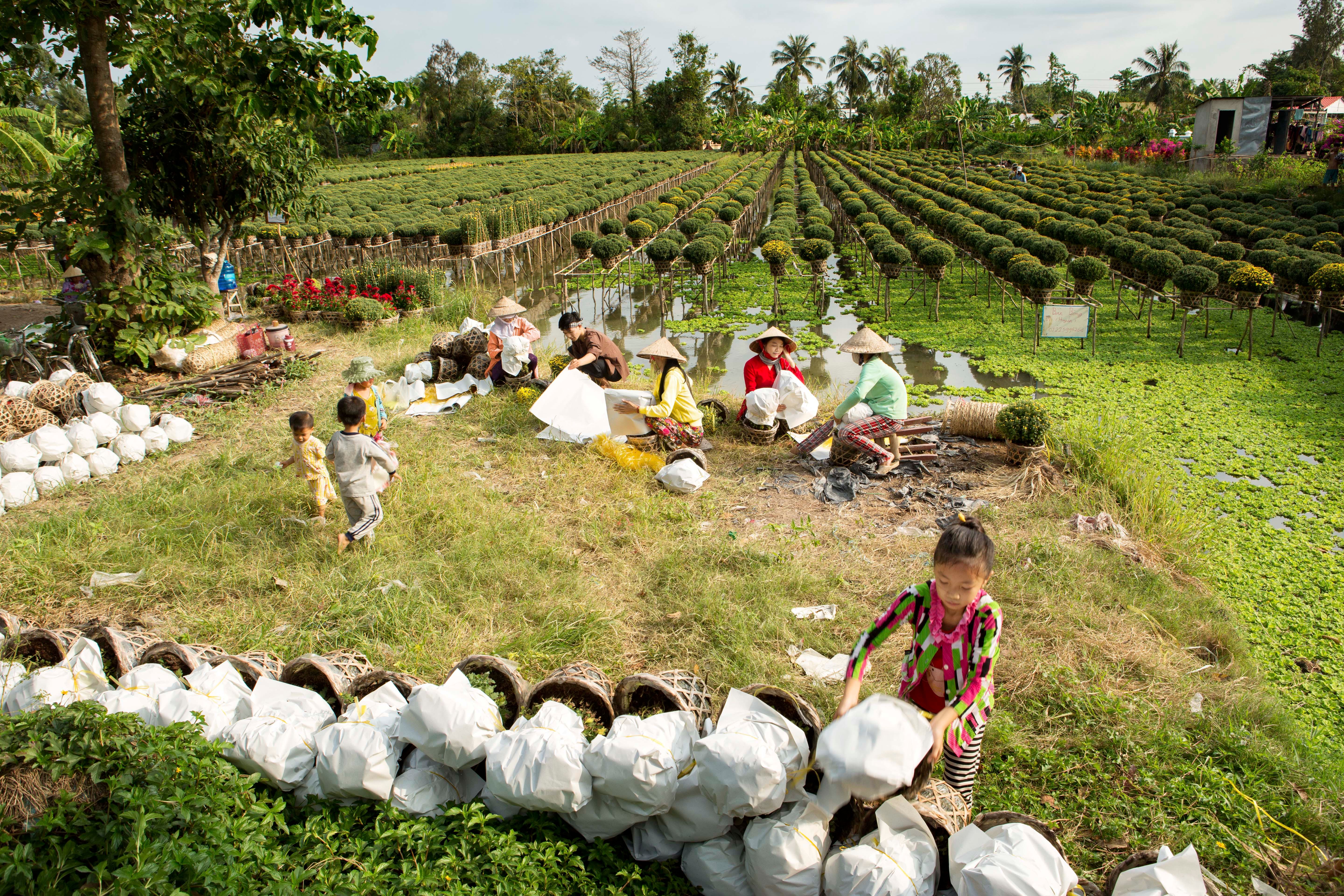 Farm Workers Photos, Download The BEST Free Farm Workers Stock Photos ...