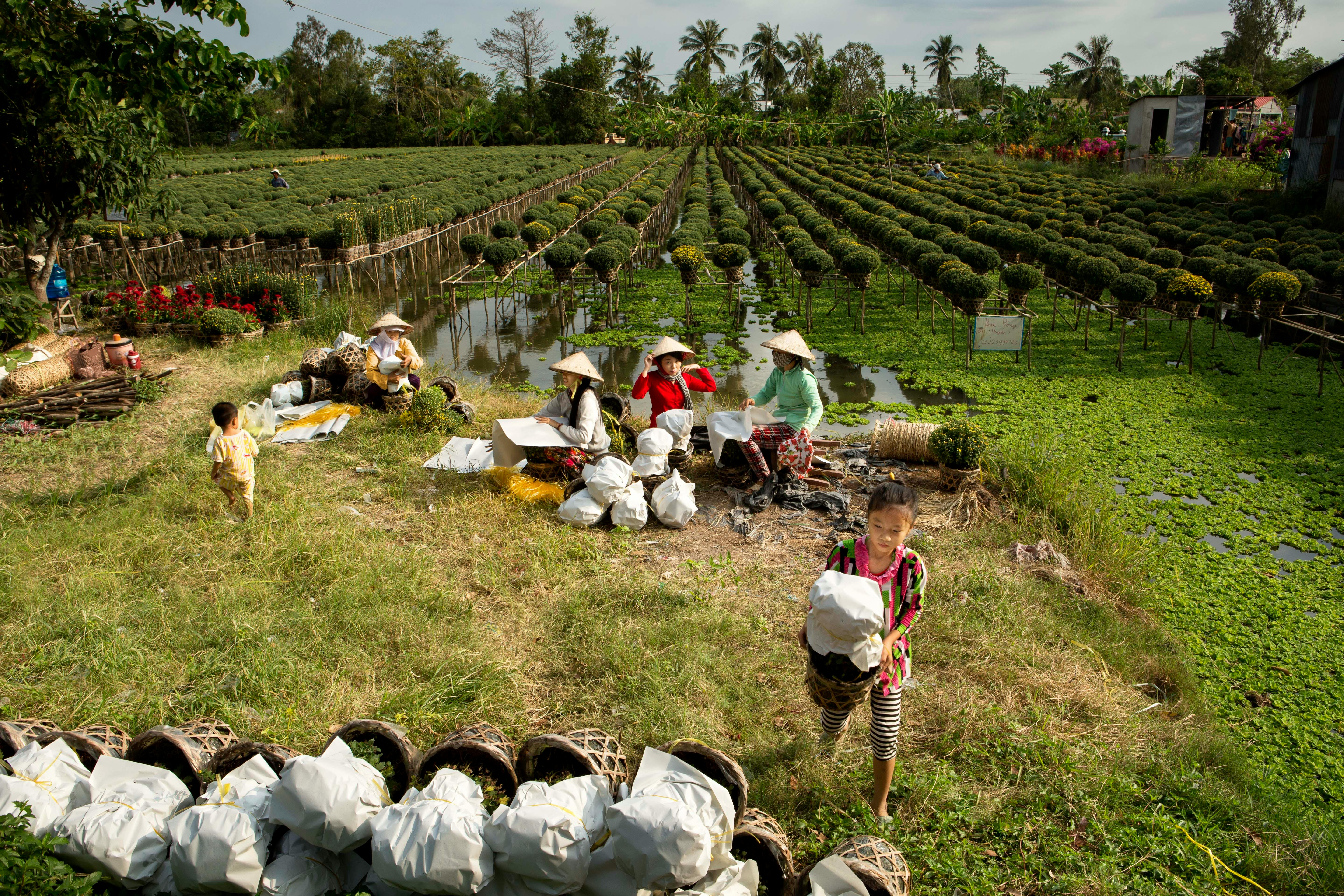 People Working in a Field · Free Stock Photo