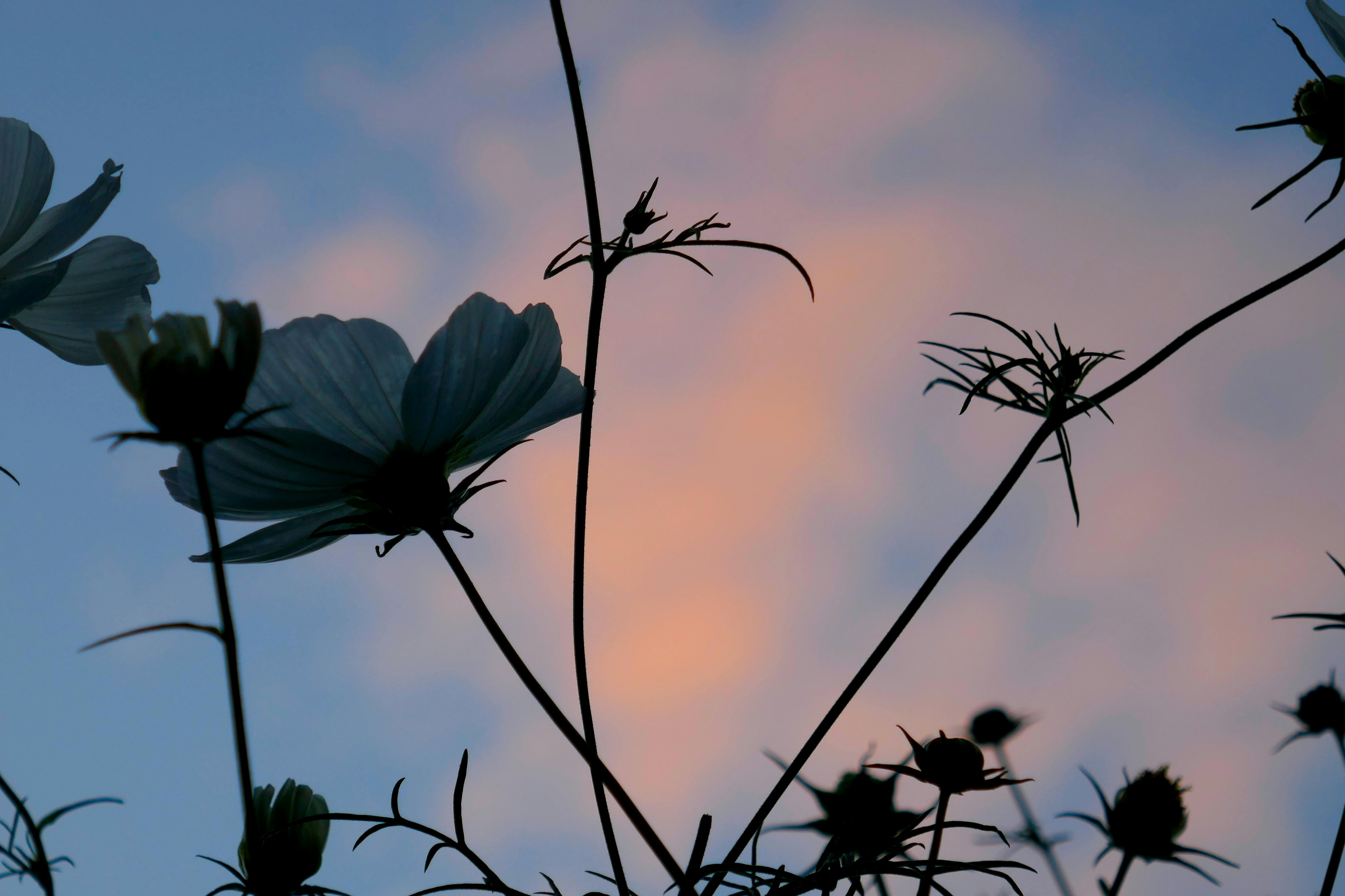 Raph Montford - Photography