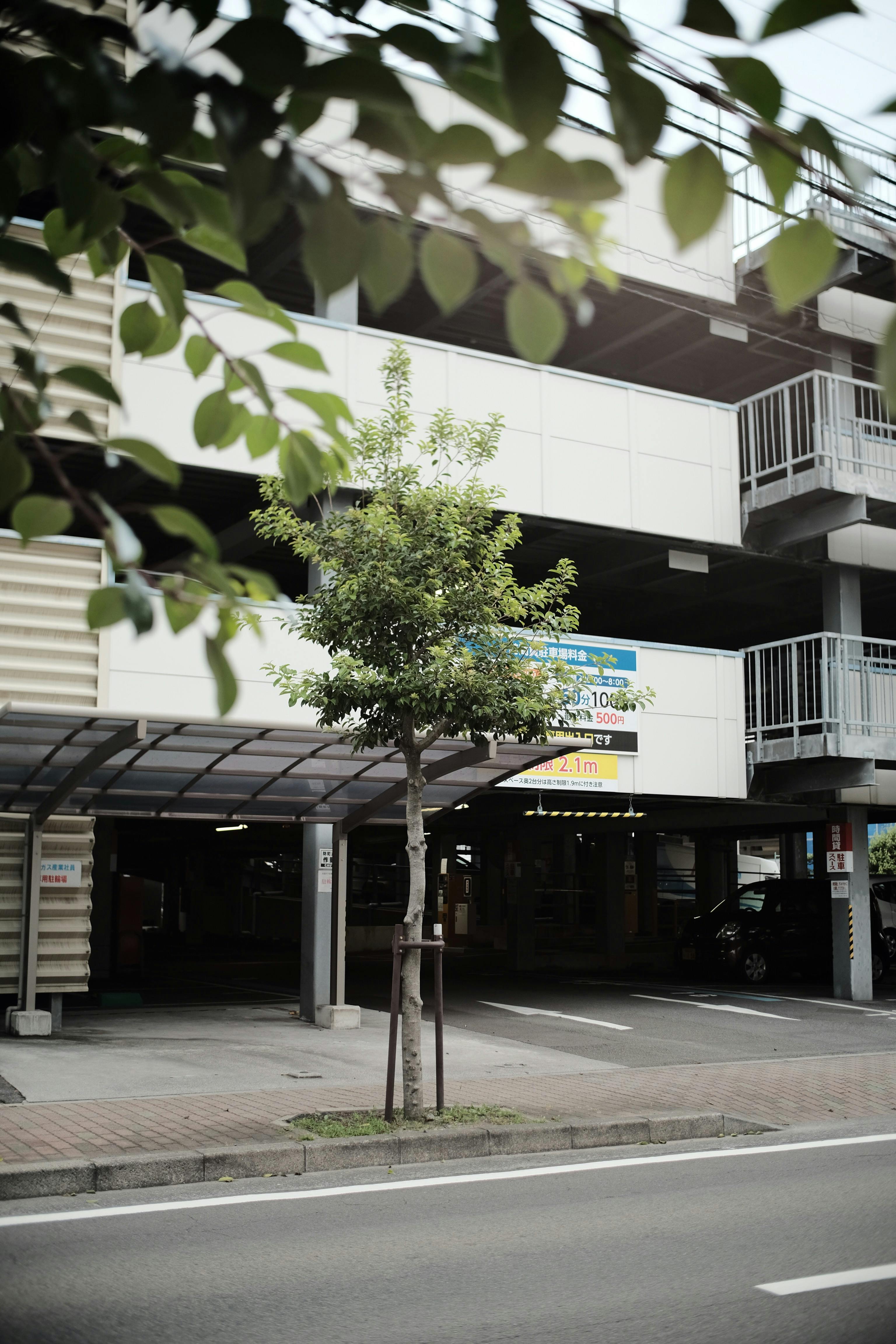 Richmond Shipyard 3 General Warehouse, Richmond, California · Free ...