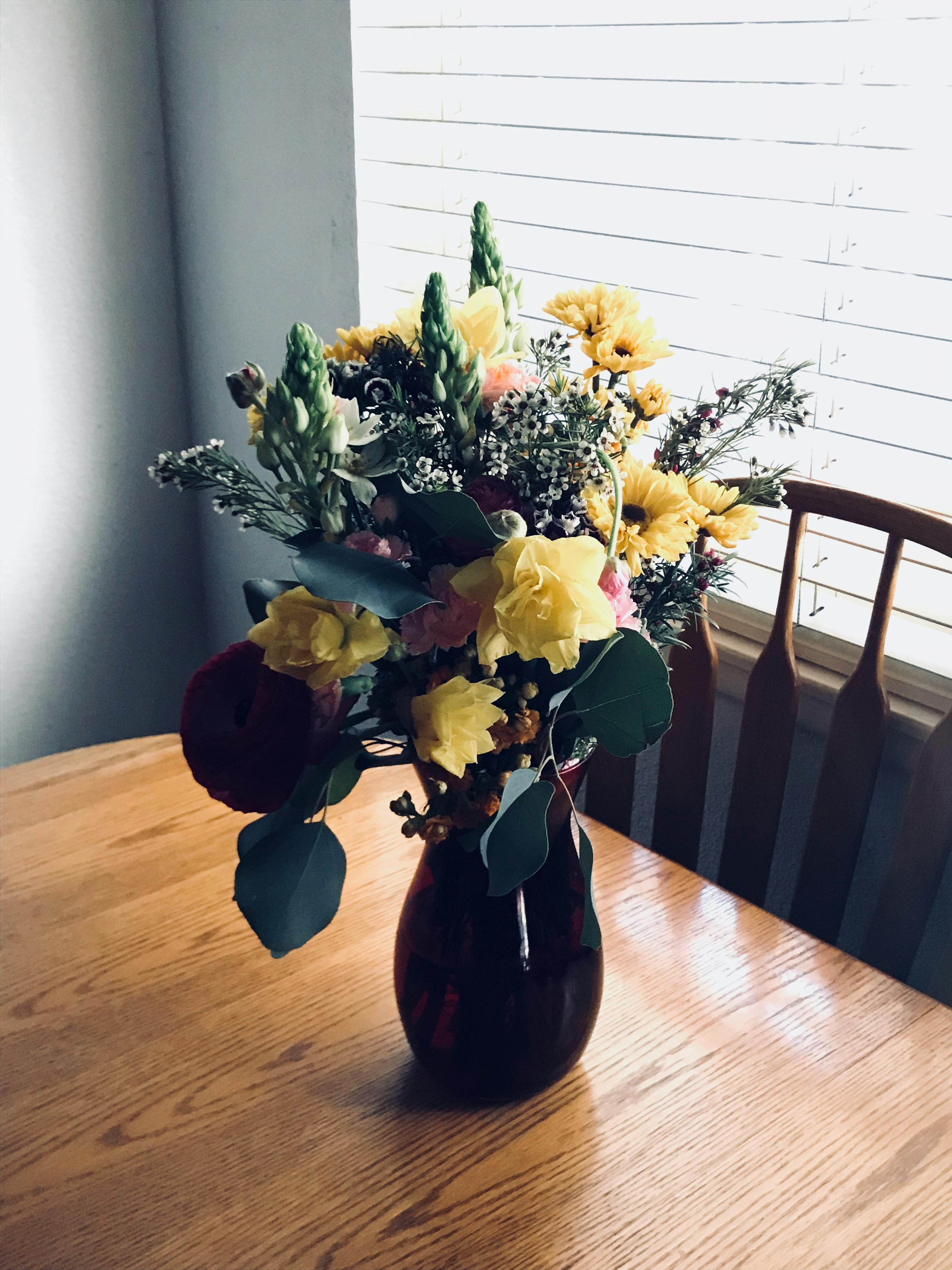 Free stock photo of flowers, pitcher of flowers