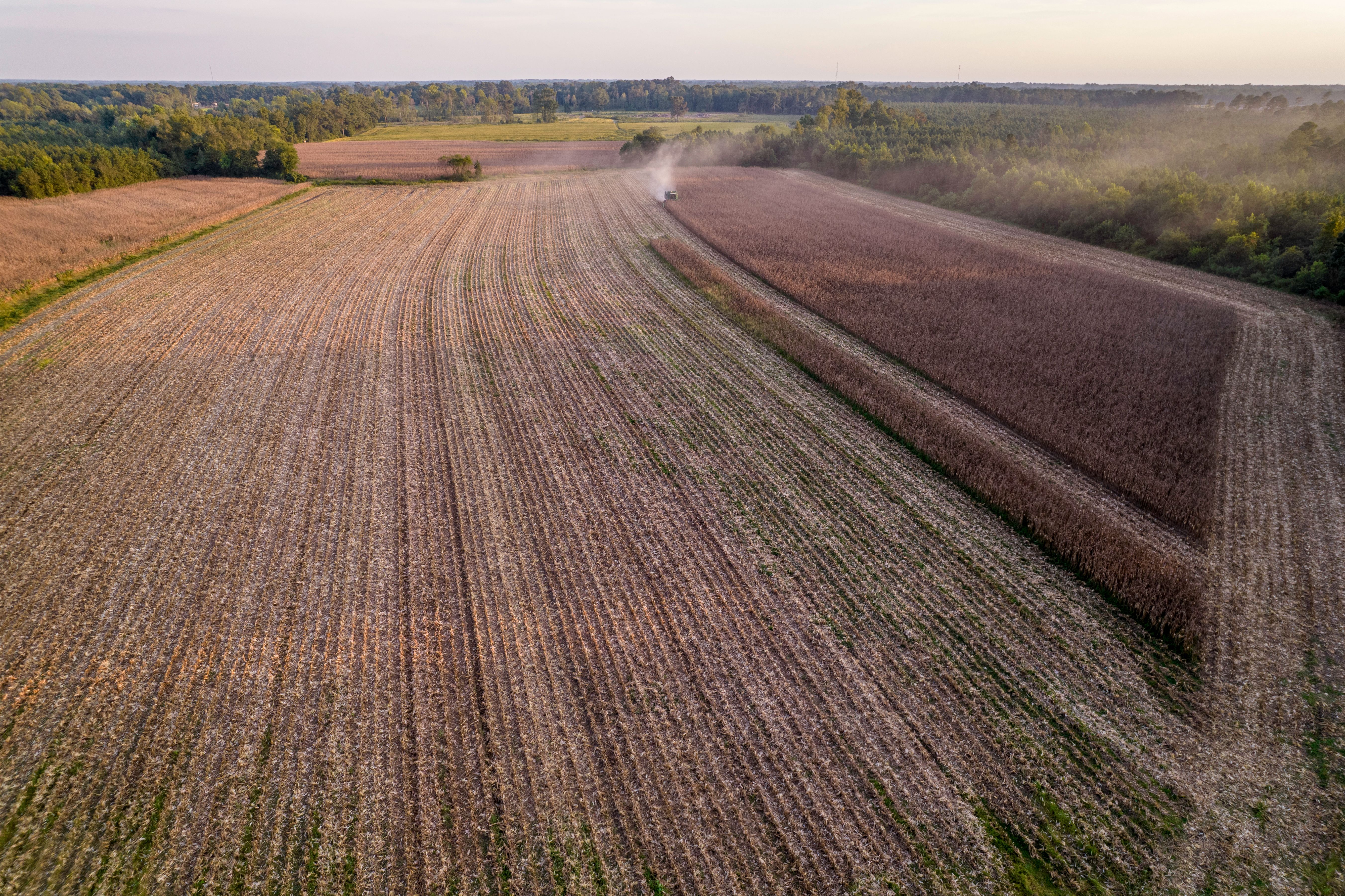 Aerial Photo of Cropland · Free Stock Photo