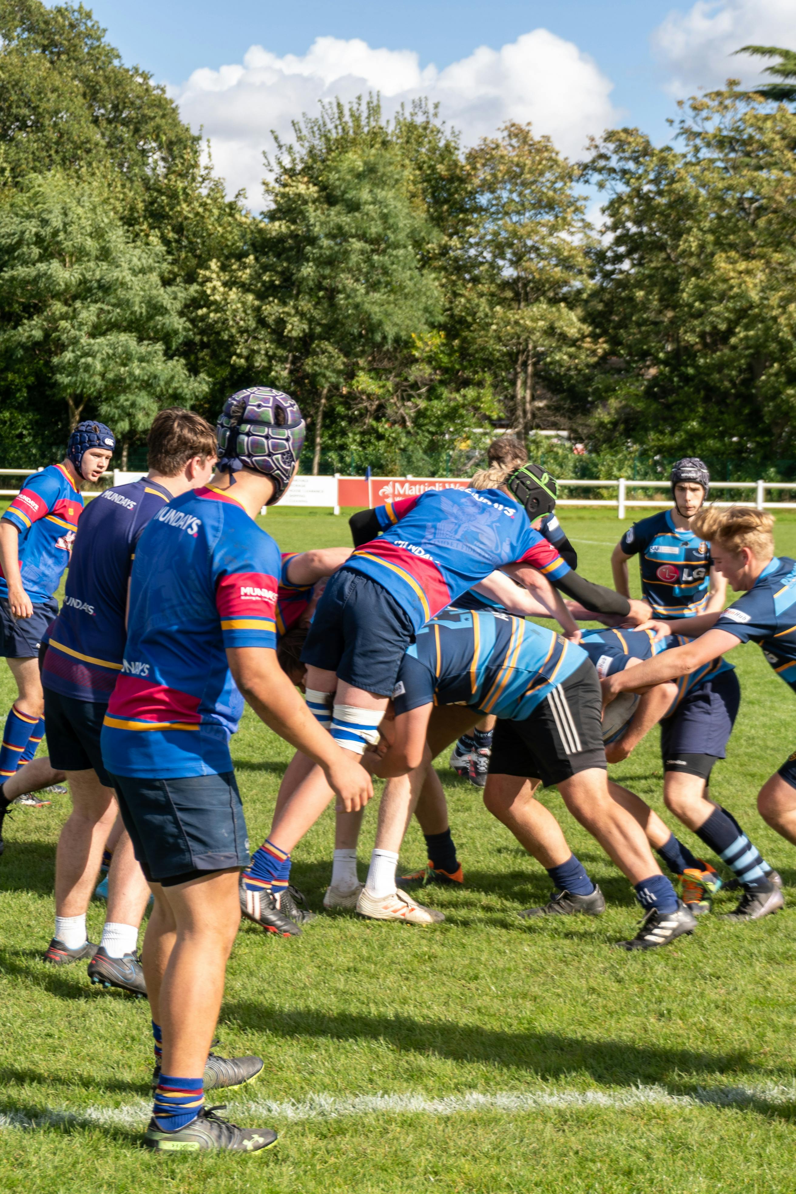 Athletes Playing Rugby · Free Stock Photo