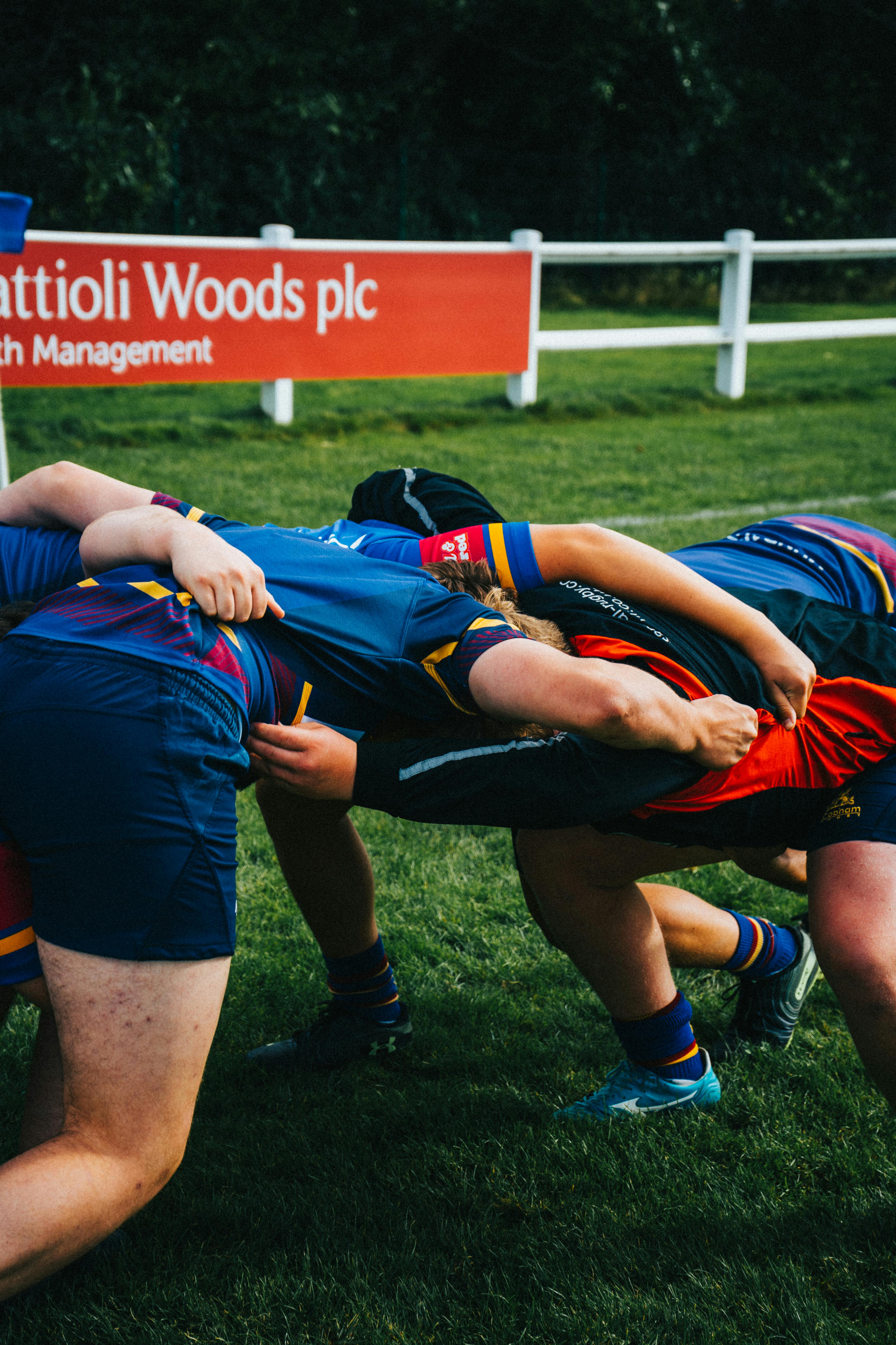 Men Playing Rugby · Free Stock Photo