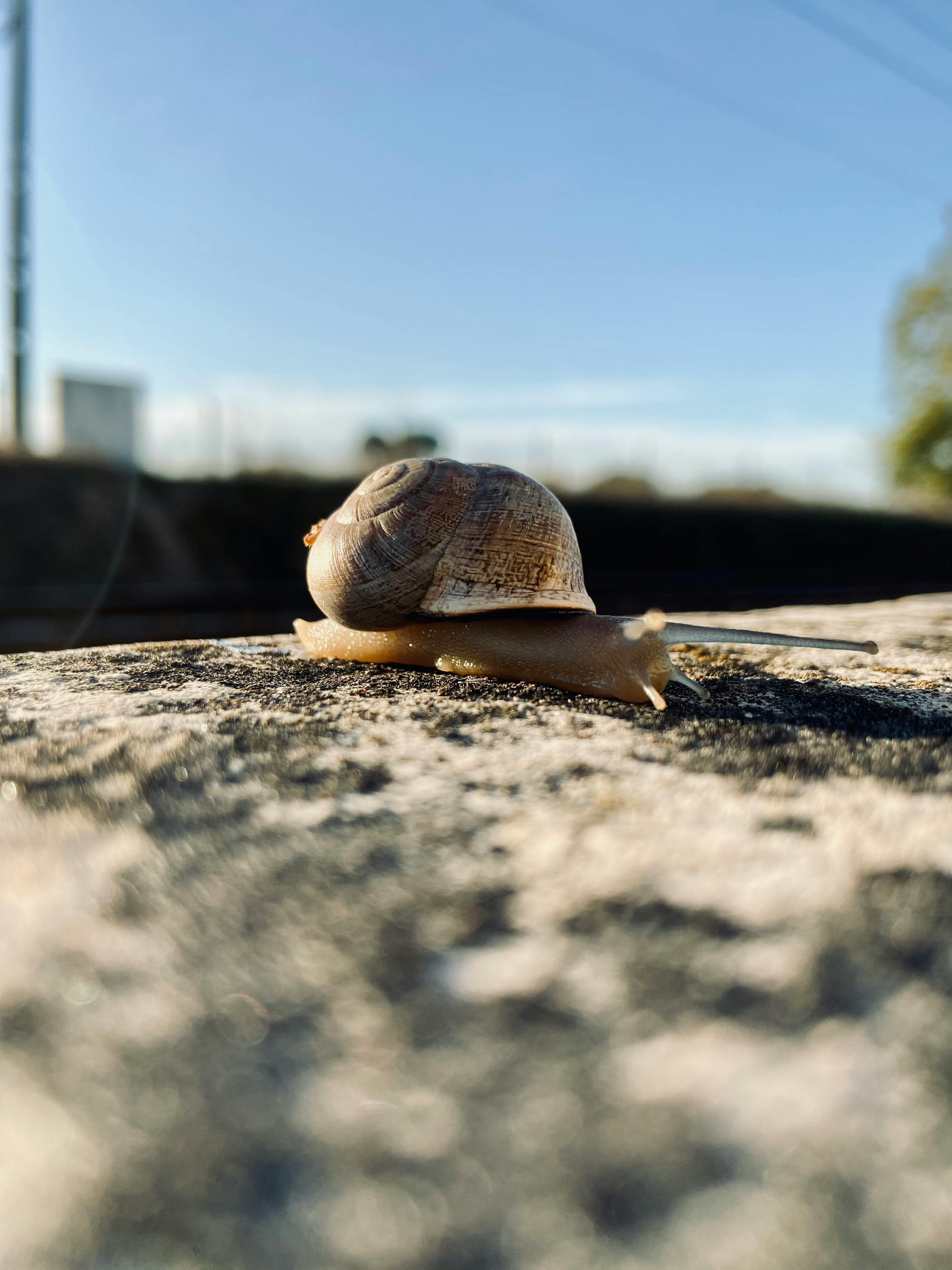 Livescience Photos, Download The BEST Free Livescience Stock Photos ...