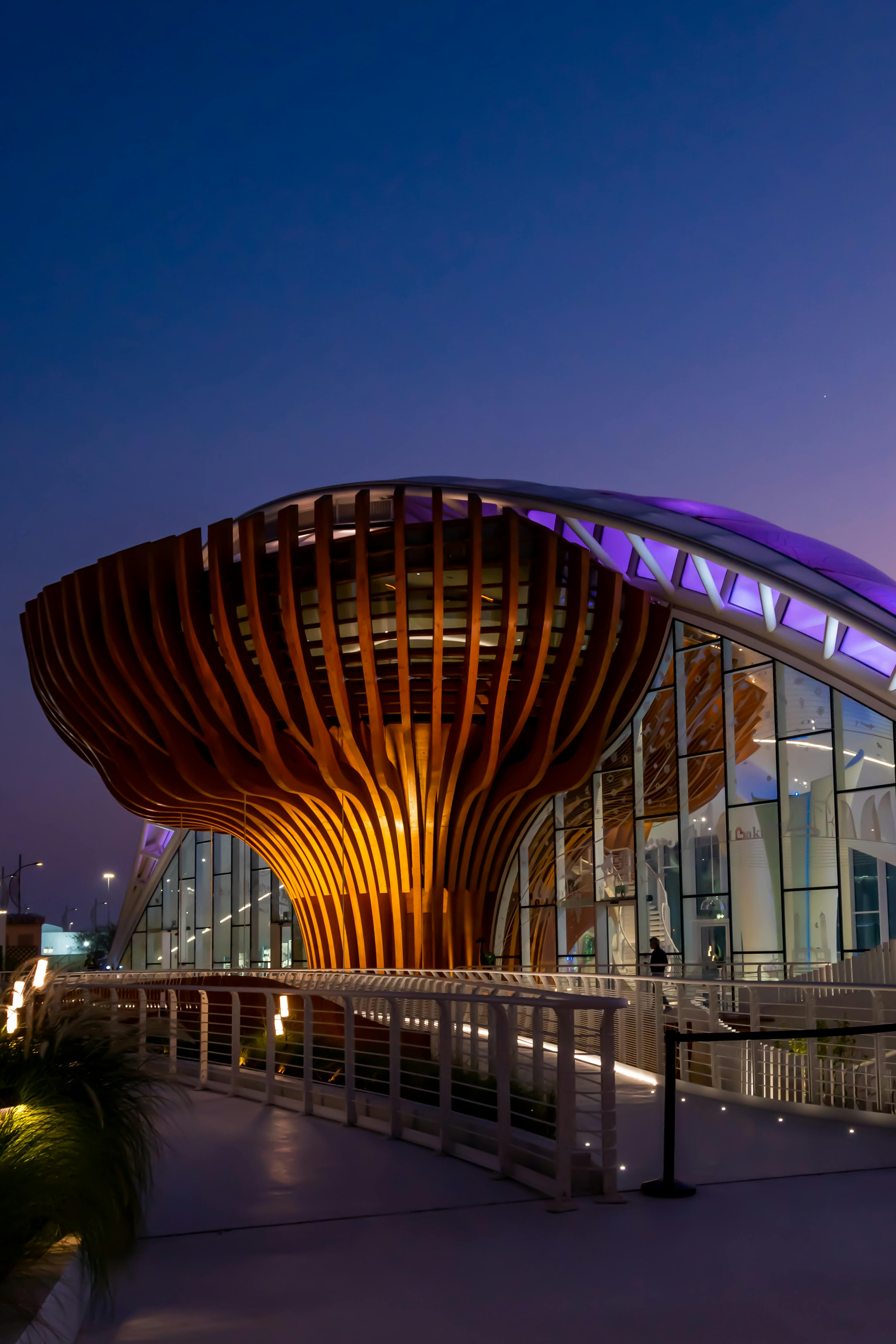 20+ Best Free Expo Stock Photos & Images · 100% Royalty-Free HD Downloads