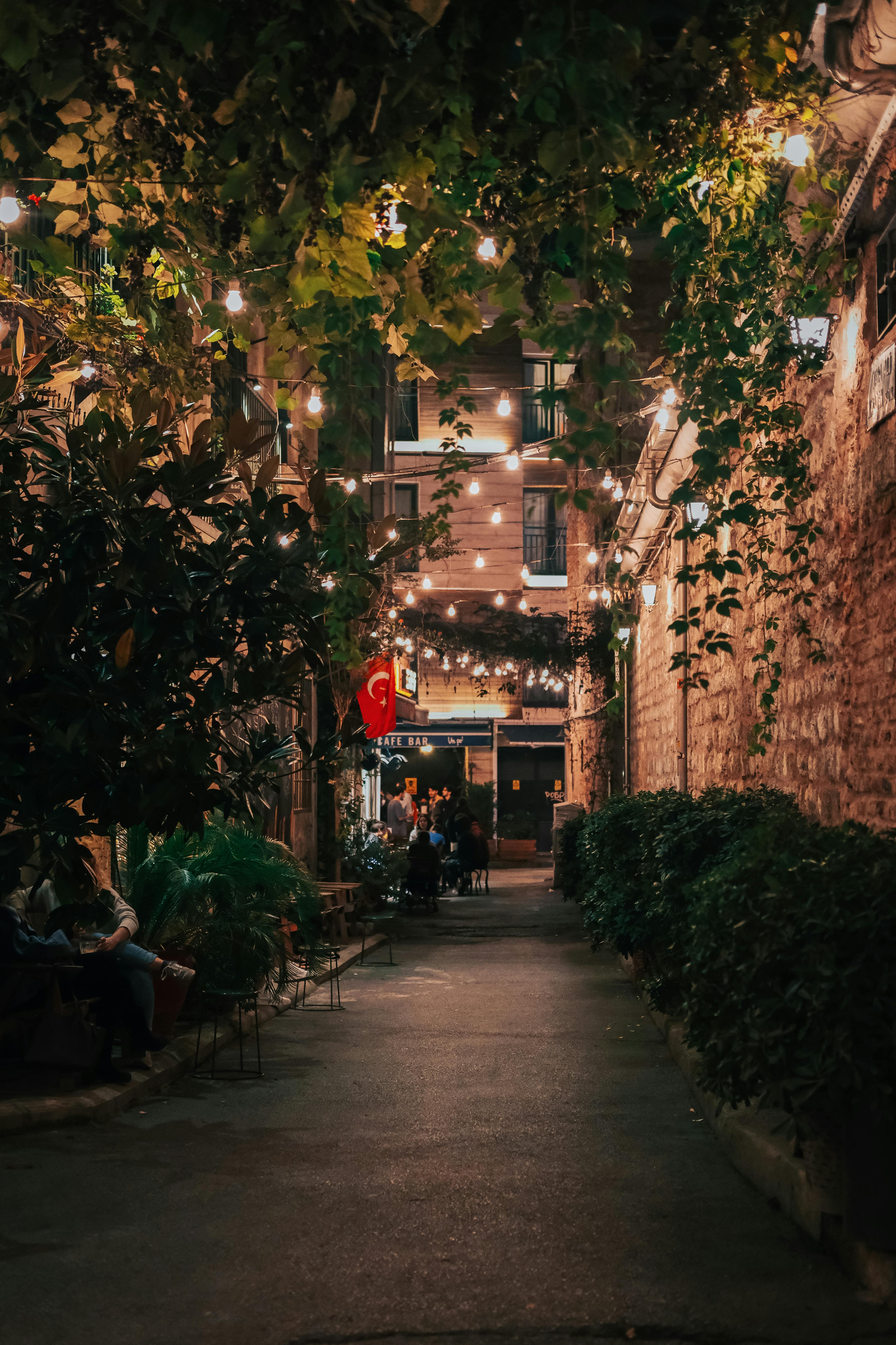 Photo of an Alley with Lights and Leaves · Free Stock Photo