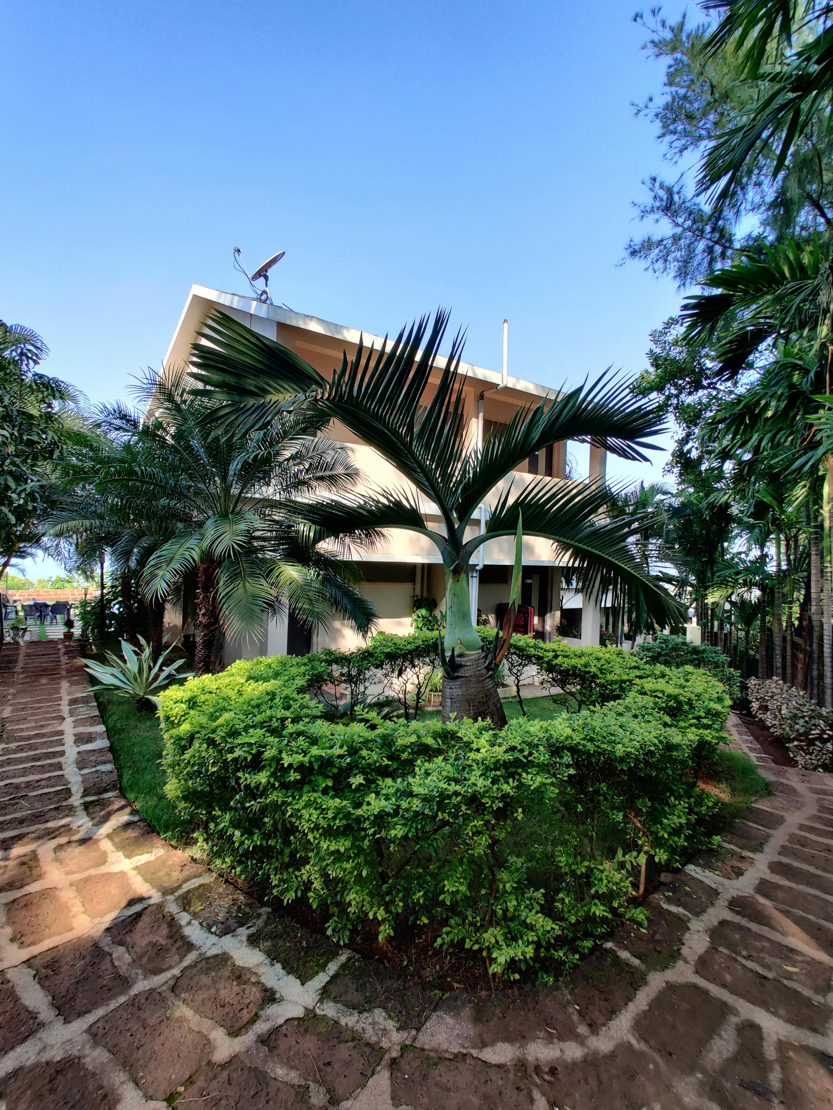 Anvita - การถ่ายภาพ