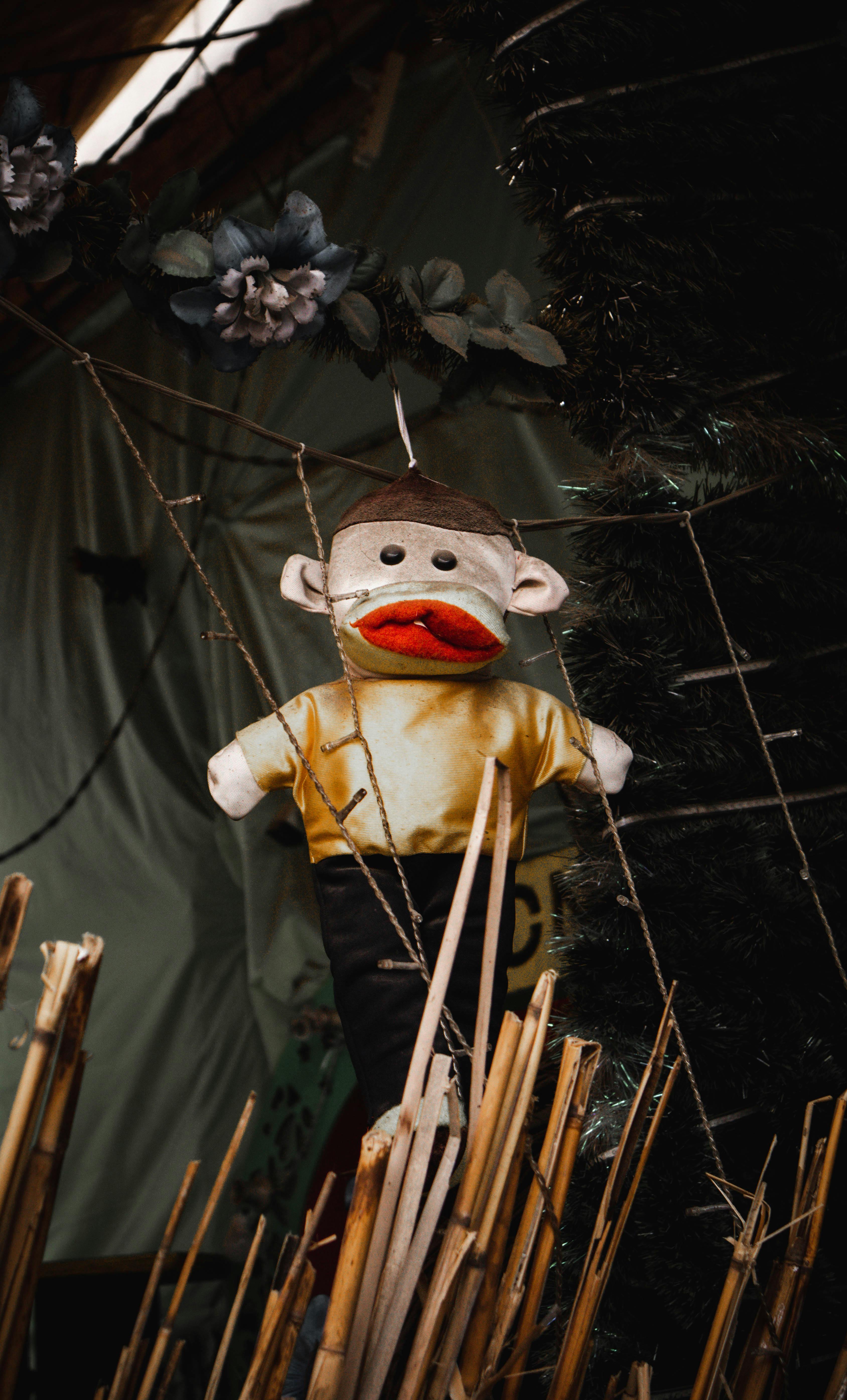 Monkey Furniture Decor Photos, Download The BEST Free Monkey Furniture ...