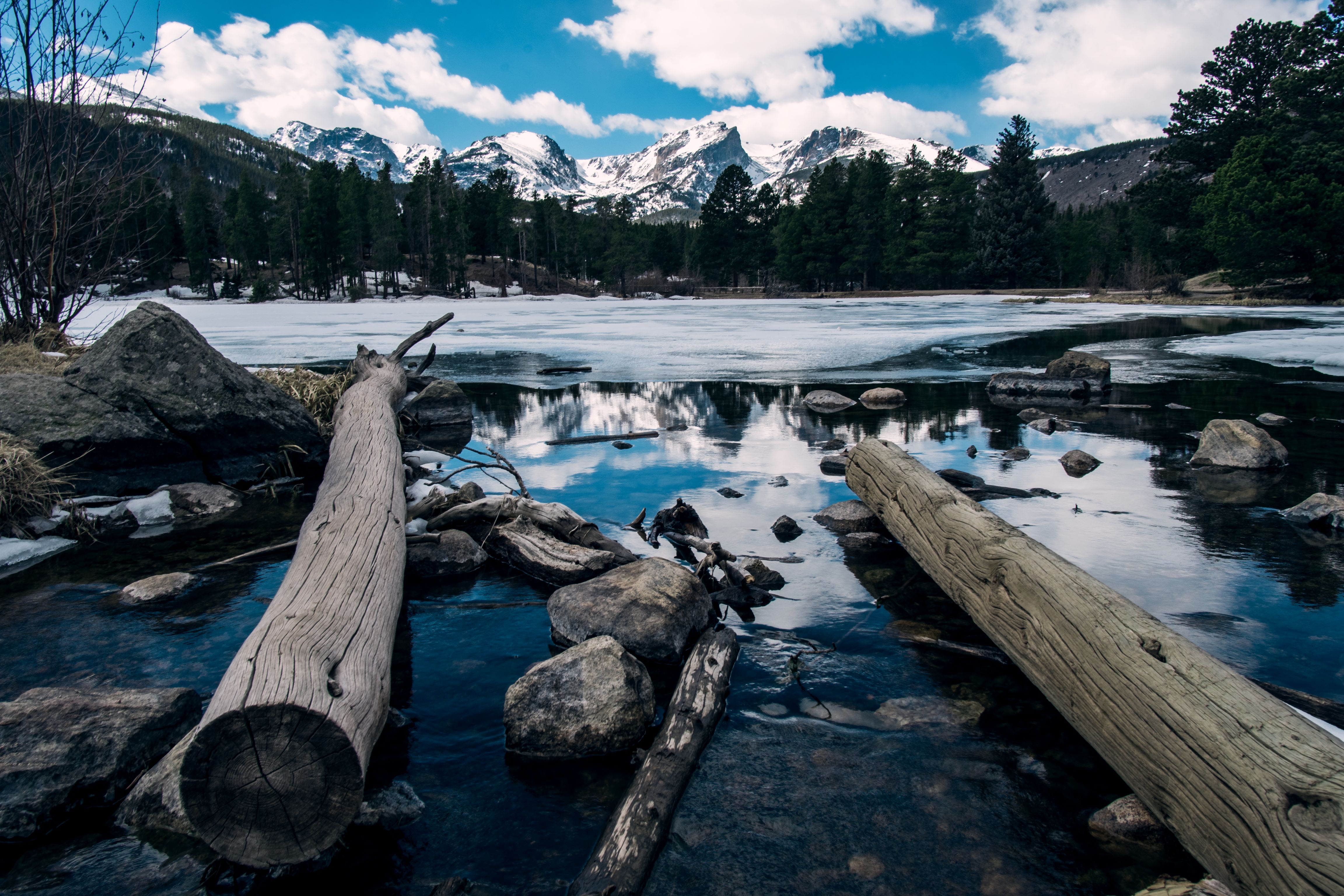Scenic View of the Nature · Free Stock Photo