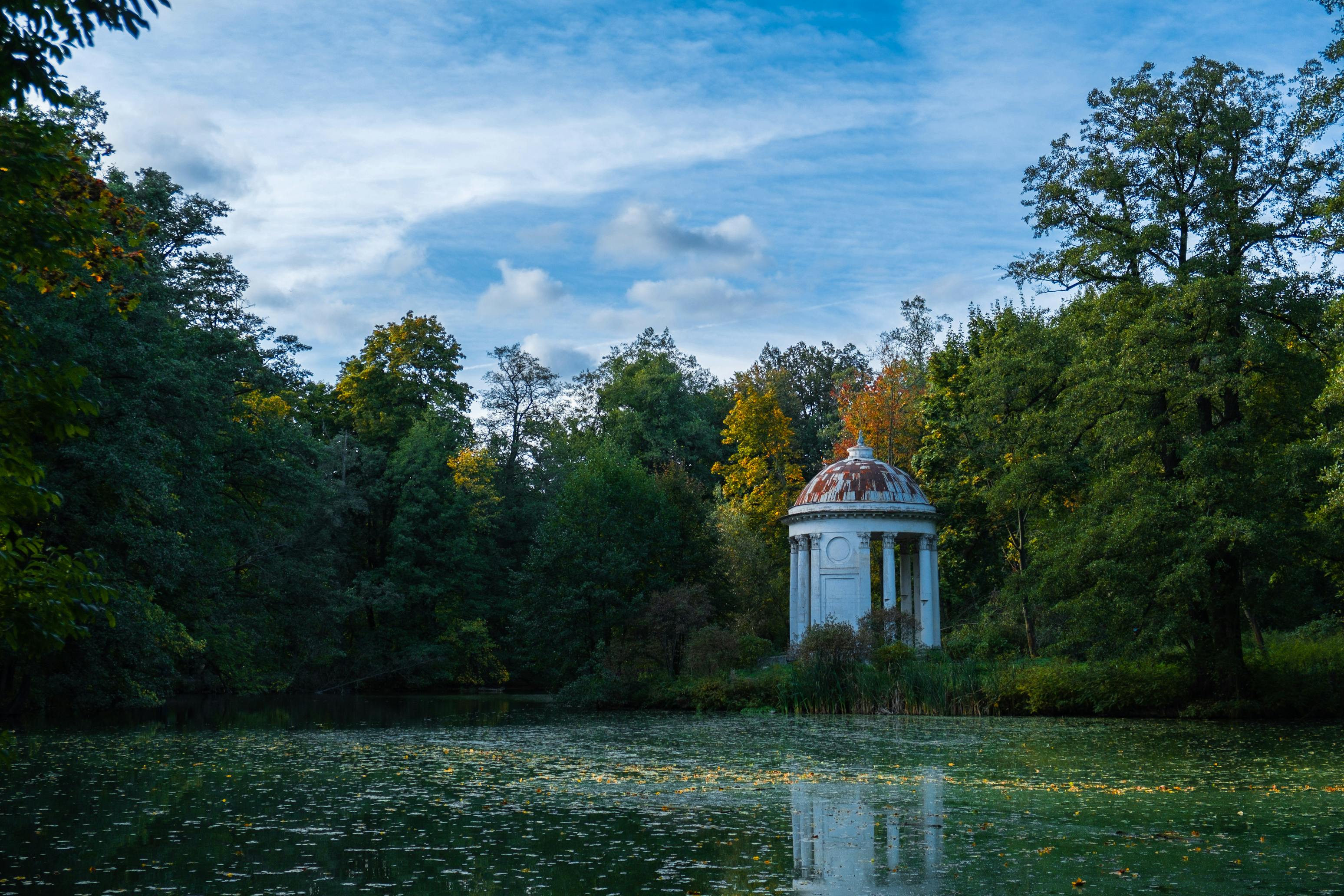 Mossy Pond Photos, Download The BEST Free Mossy Pond Stock Photos & HD ...