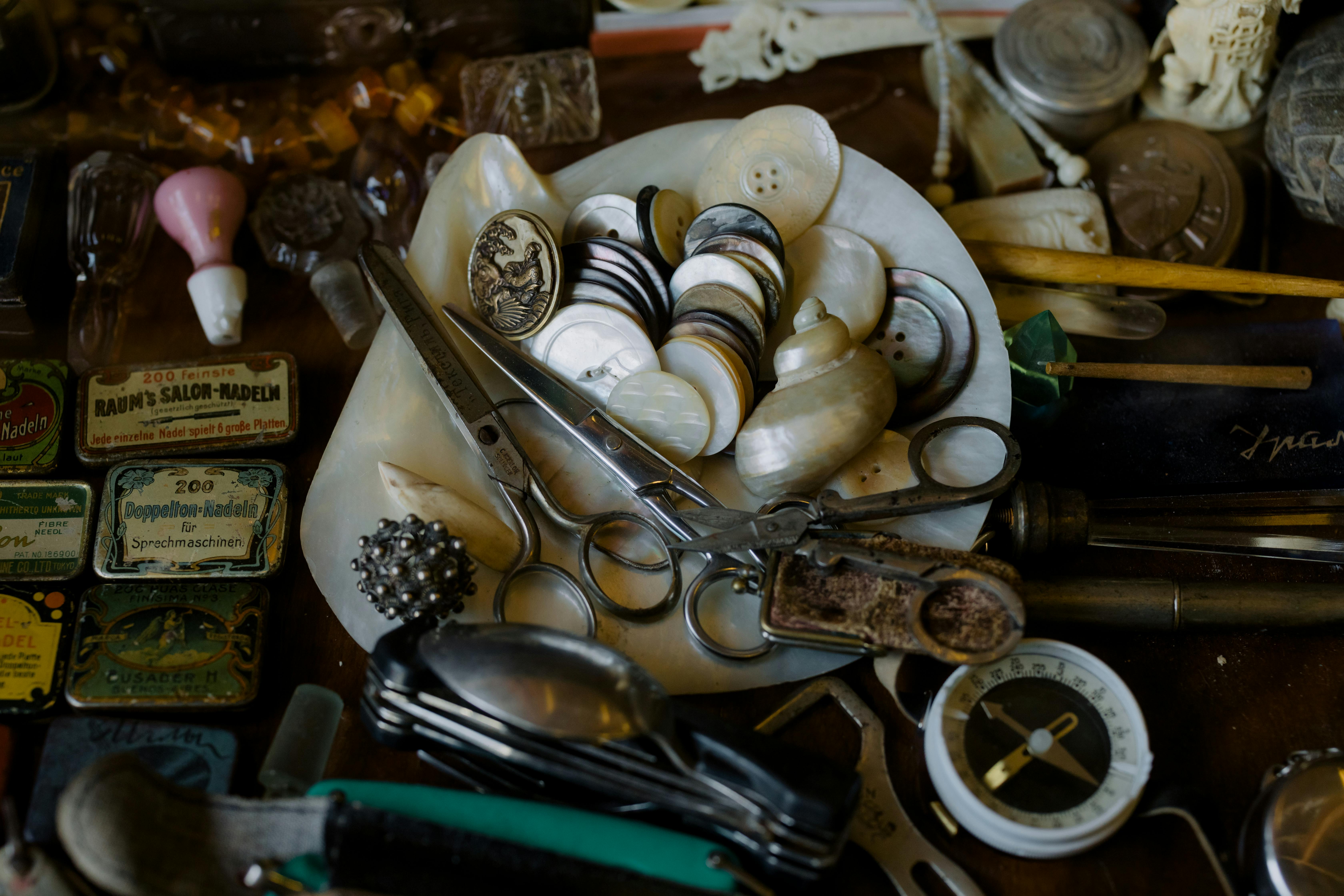 Close-up Photo of Random Collections on a Shell · Free Stock Photo