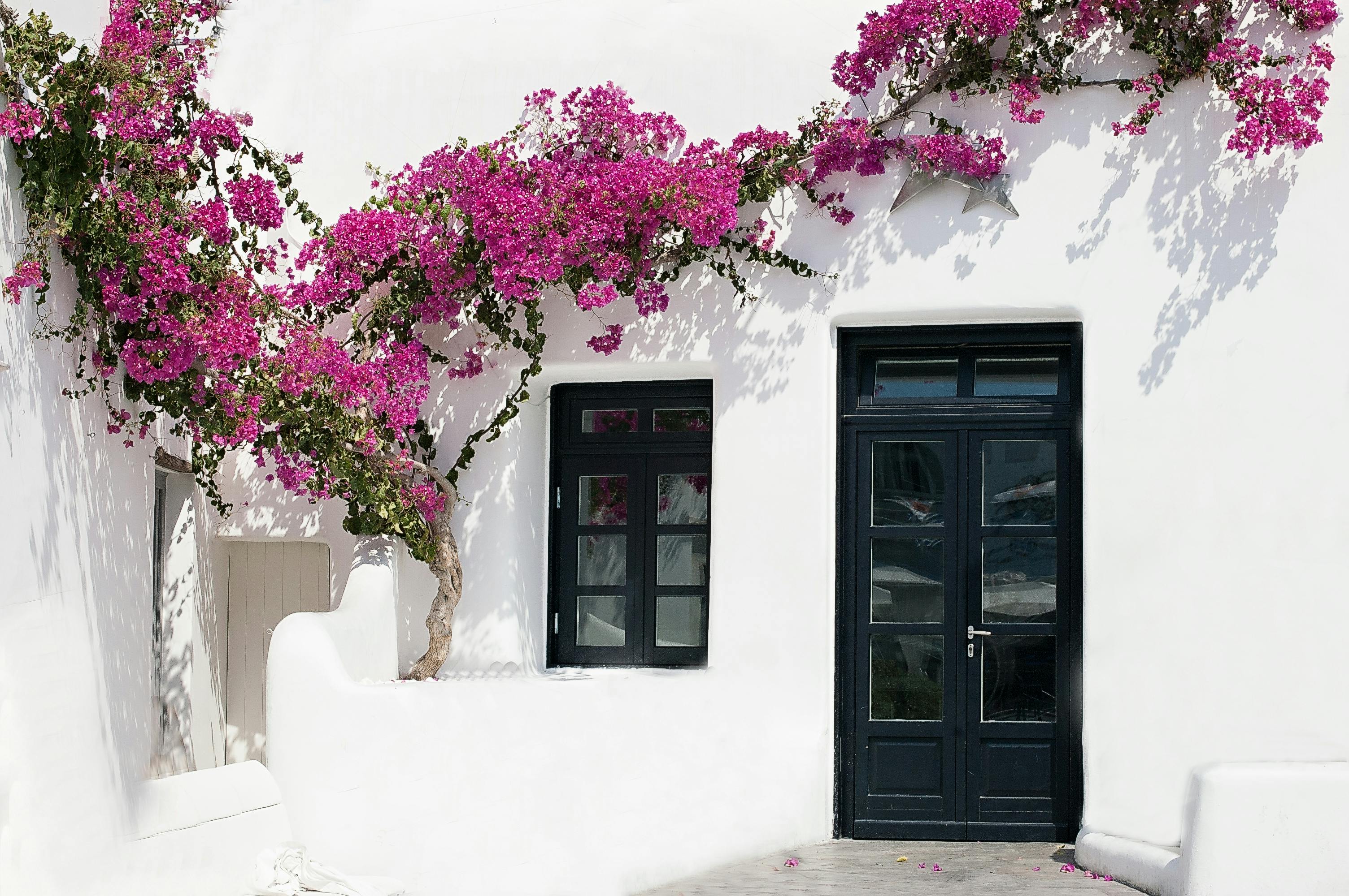 Eneida Nieves · Photography