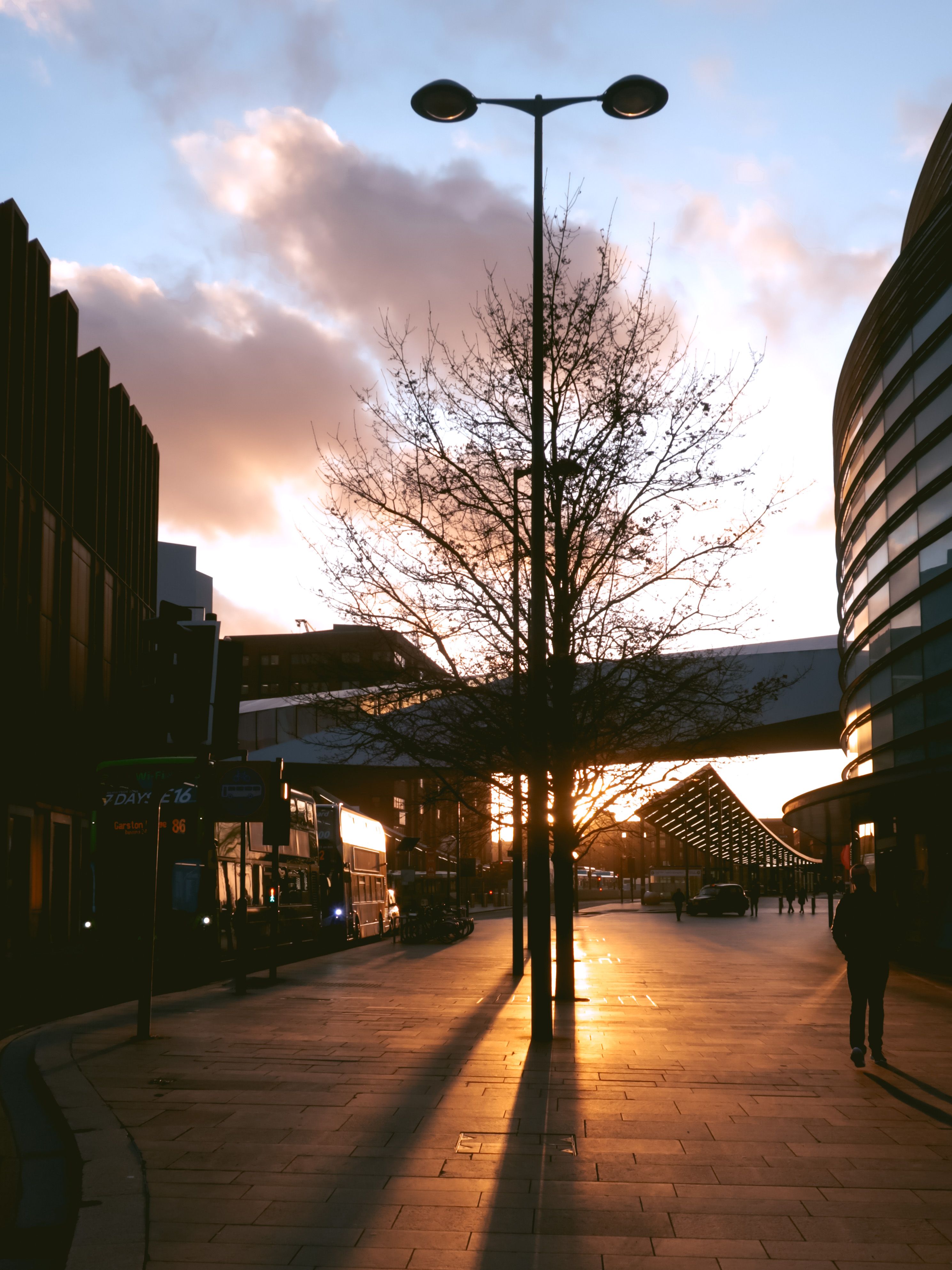 Street Lights in the Middle of the Street during Sunset · Free Stock Photo