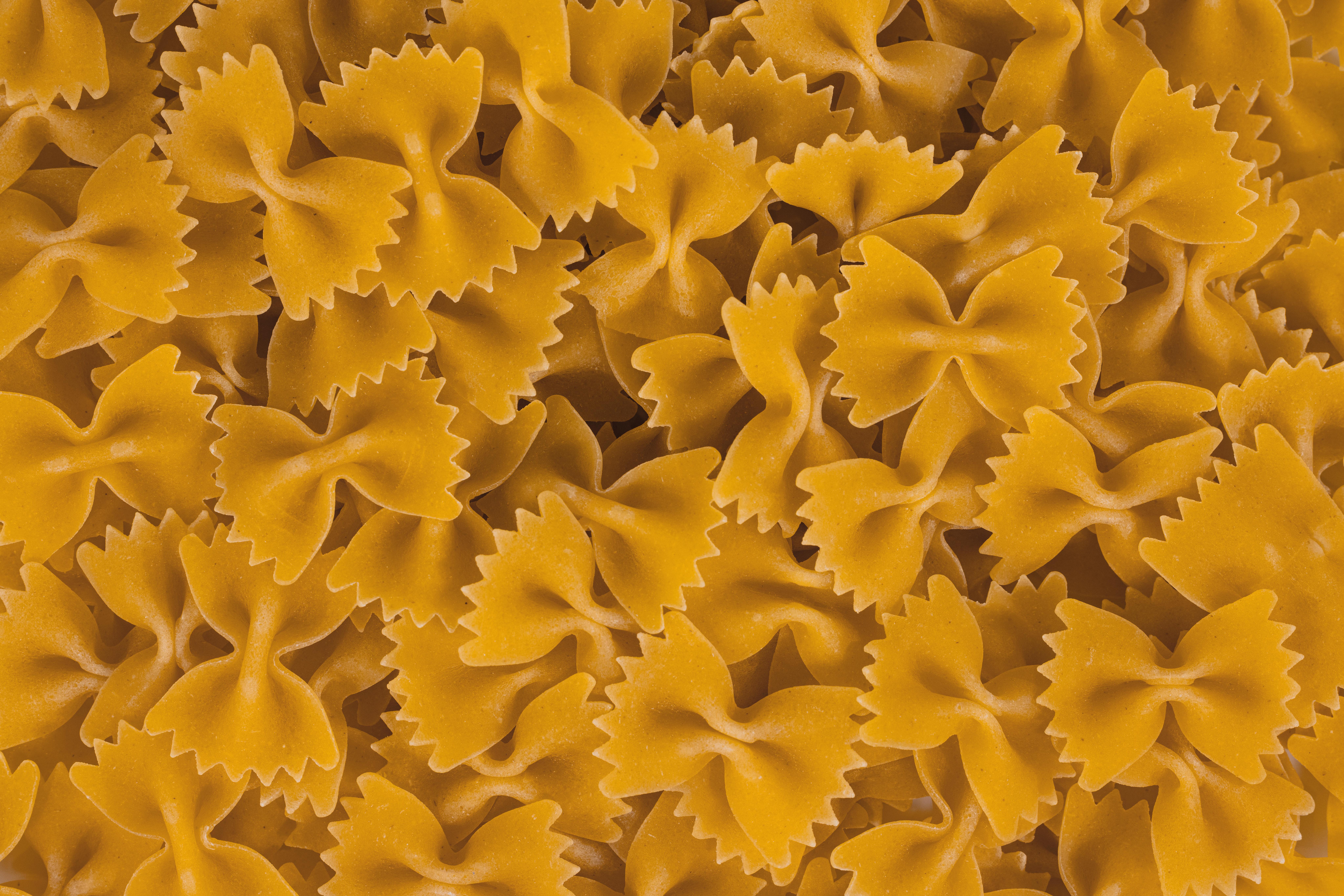 Different types of Italian macaroni · Free Stock Photo