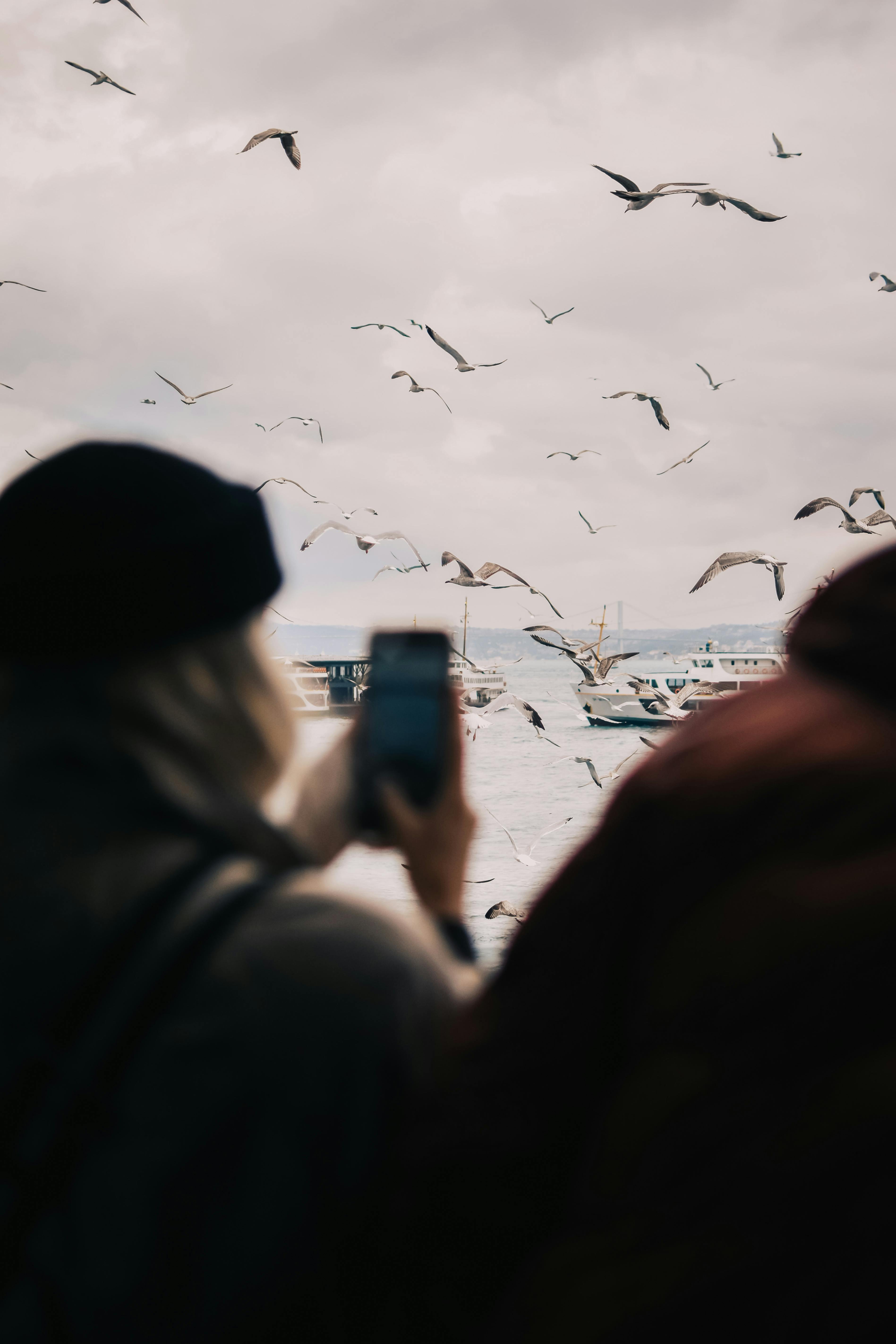 Robber Fly Photos, Download Free Robber Fly Stock Photos & HD Images