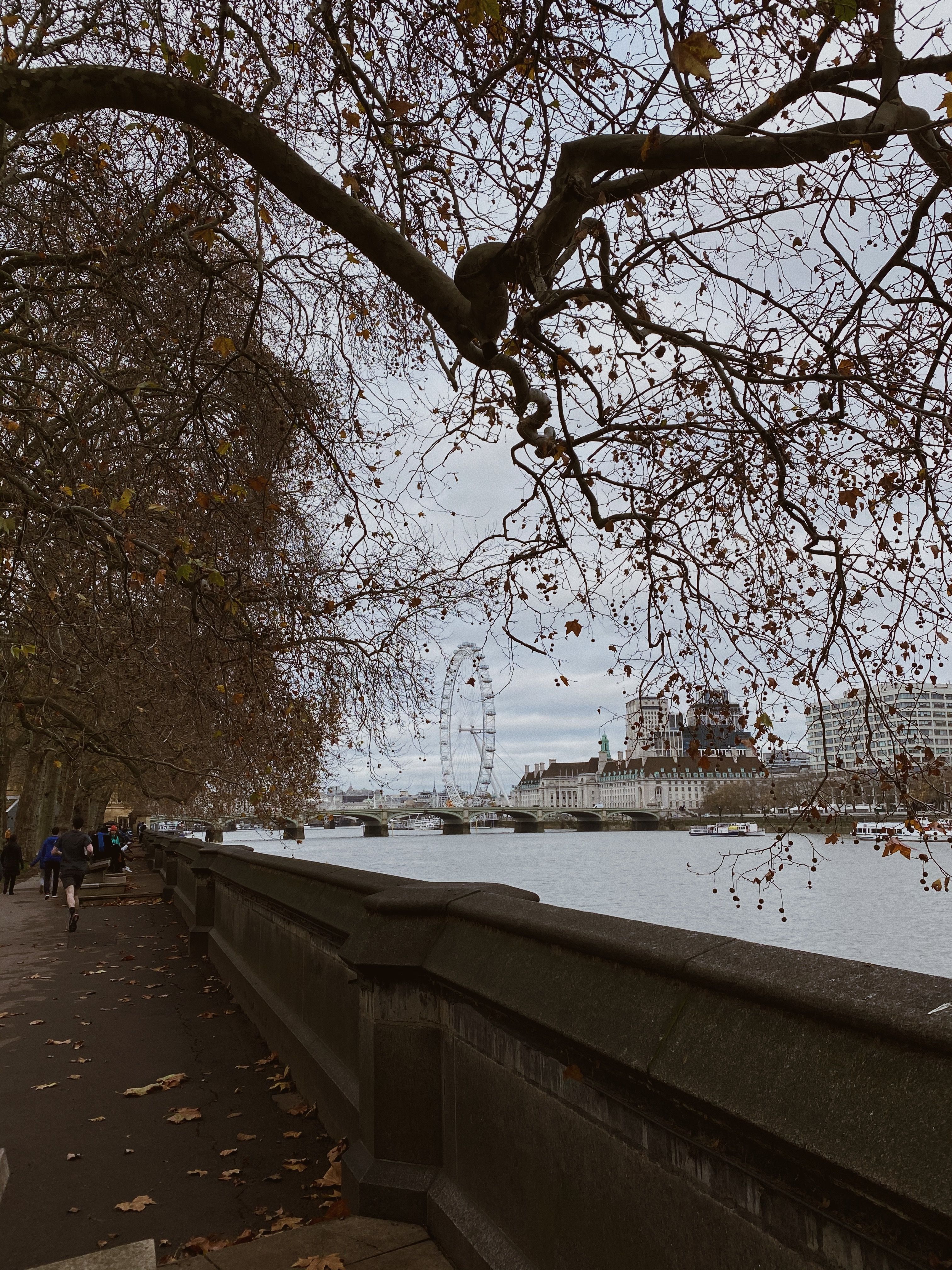 Walkway along a River in a City at Fall · Free Stock Photo