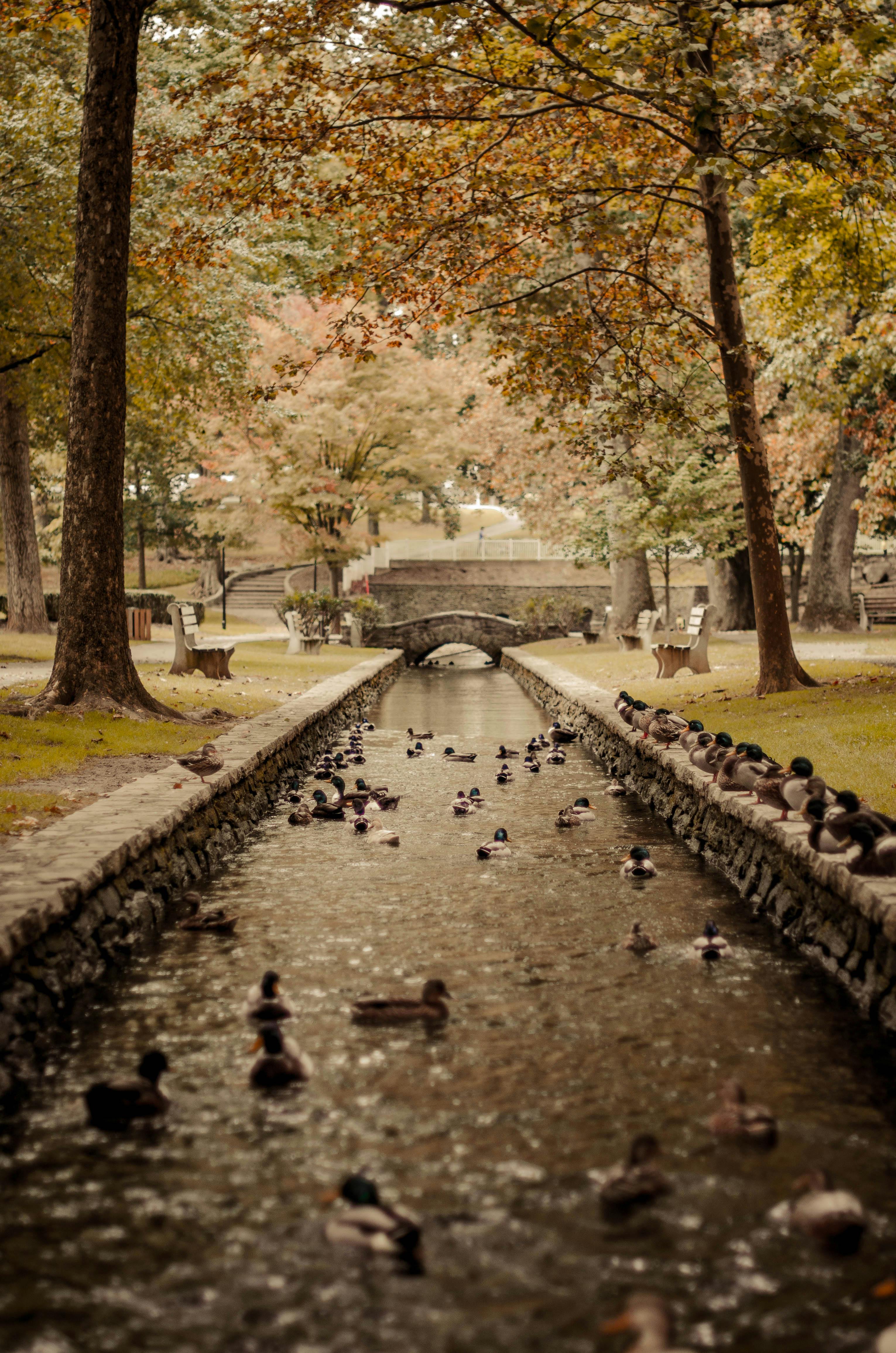 Lititz Spring Park Photos, Download The BEST Free Lititz Spring Park ...