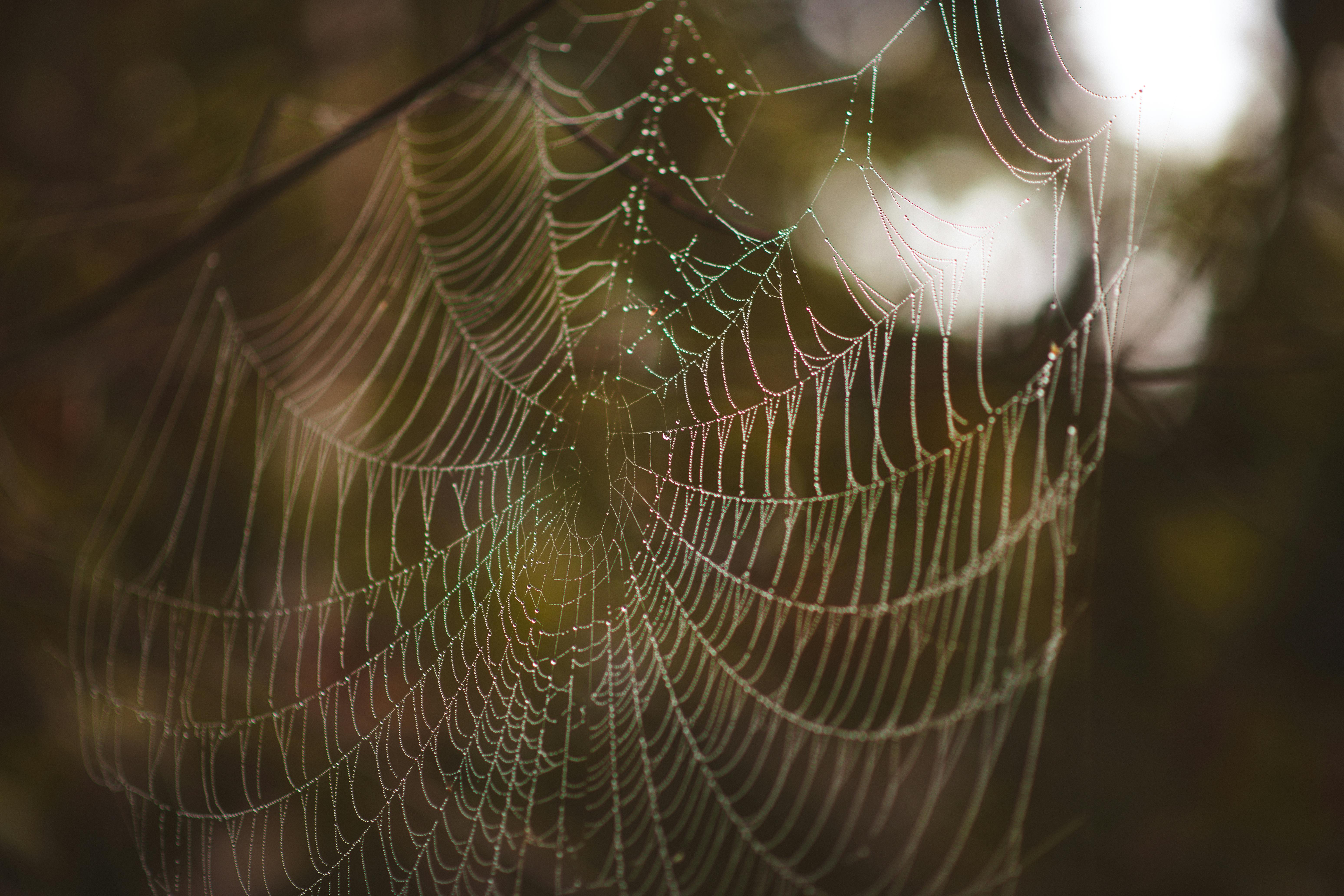 Shallow Focus Photo of White Headphones · Free Stock Photo