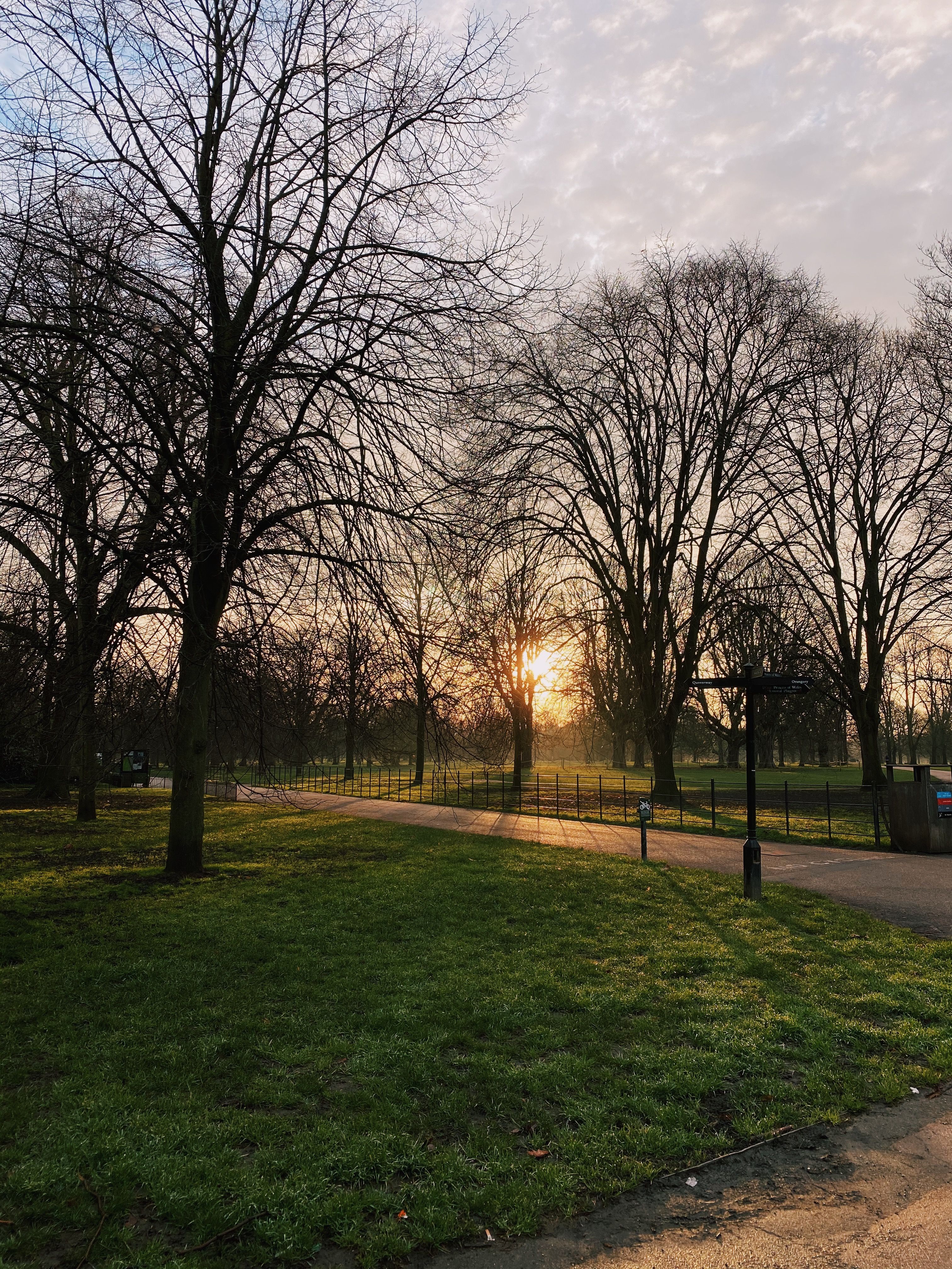Photography of a Park · Free Stock Photo